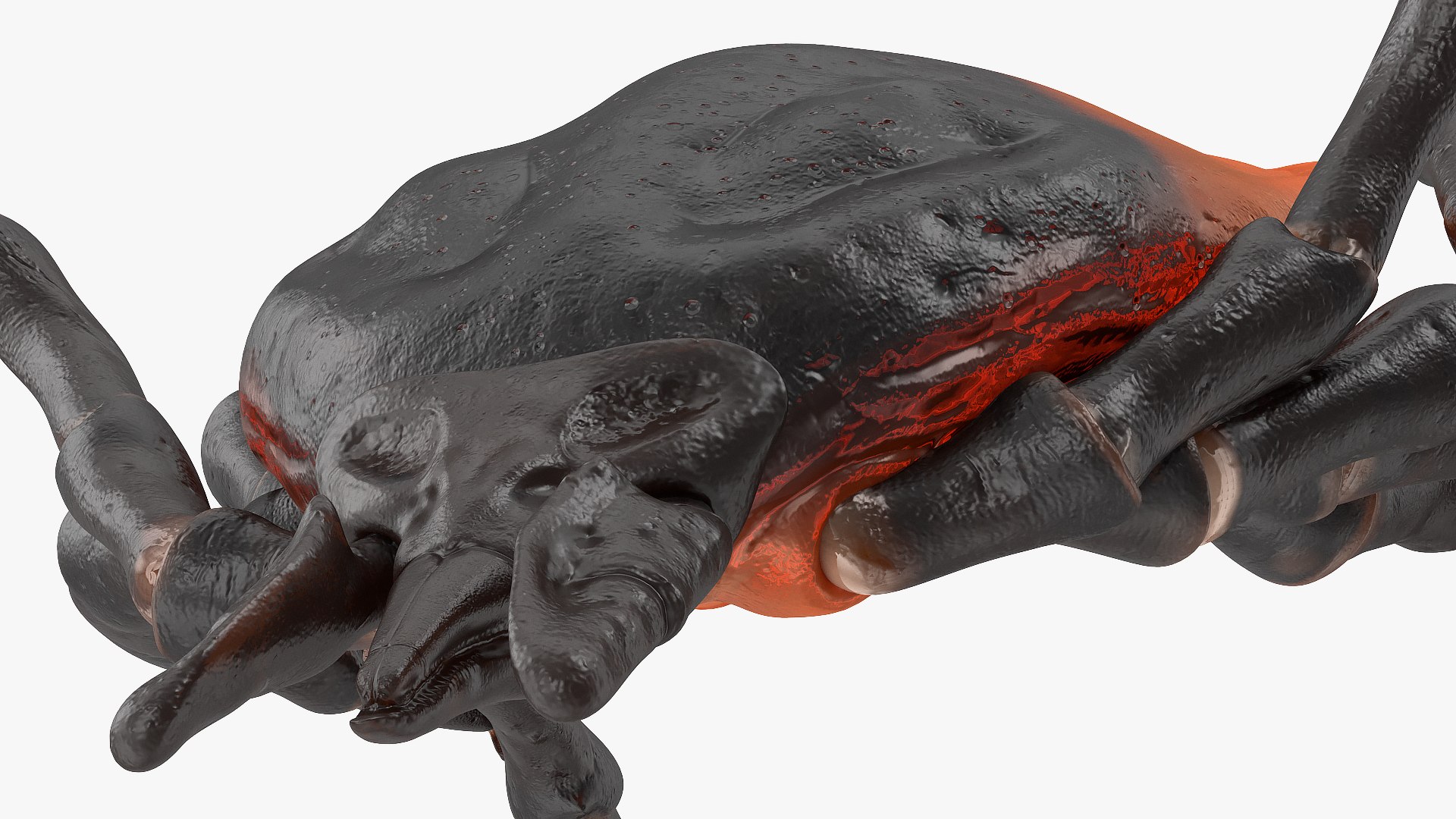 3D Tick Rigged For Modo - TurboSquid 1861616