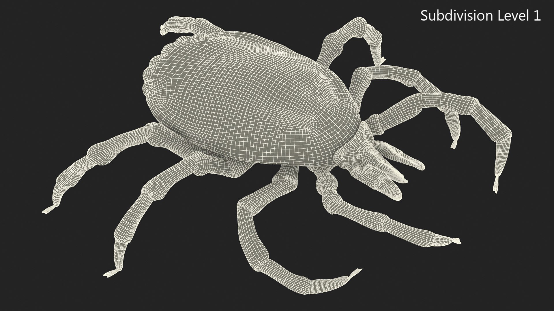 3D Tick Rigged for Modo - TurboSquid 1861616