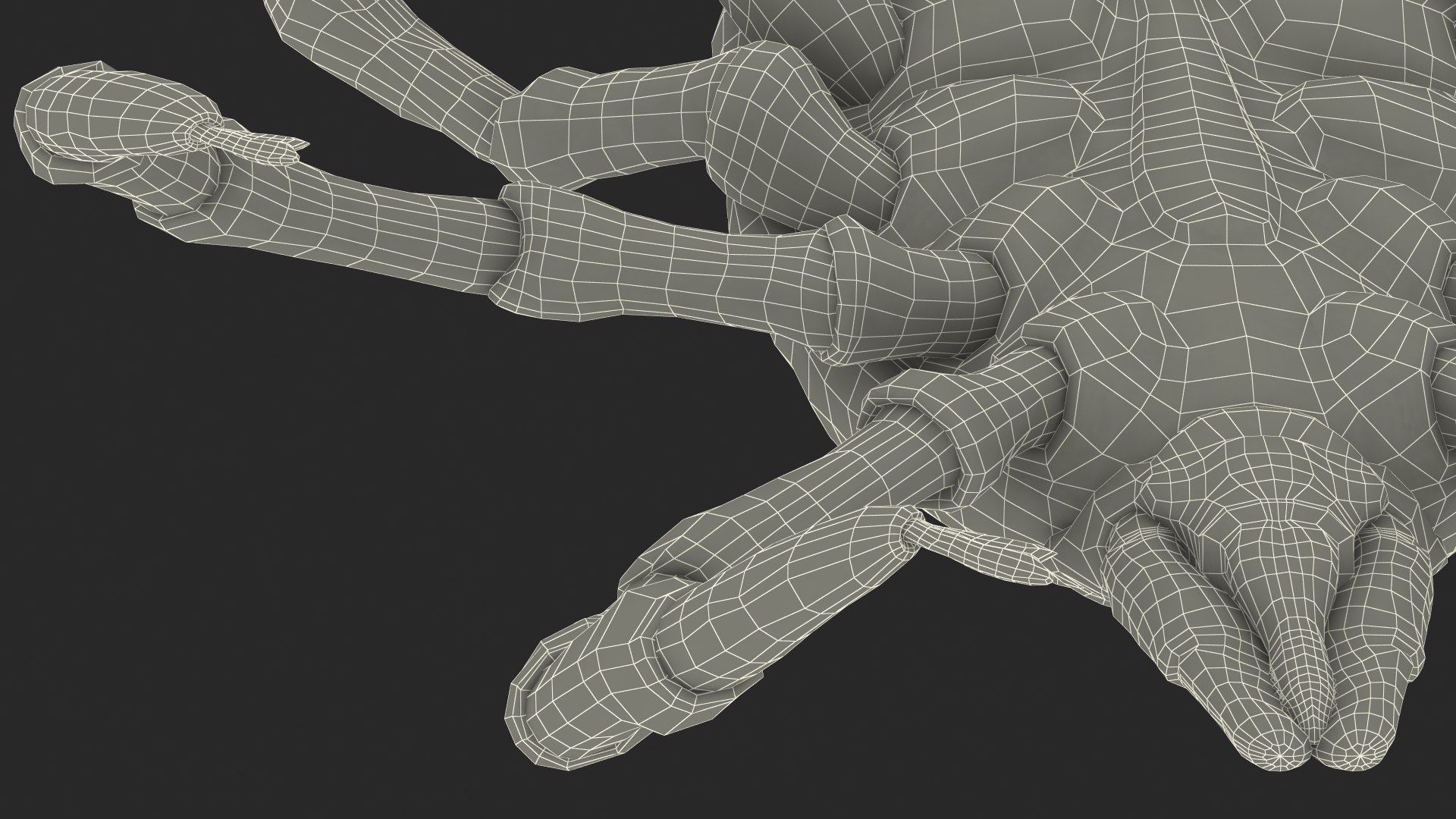 3D Tick Rigged for Modo - TurboSquid 1861616