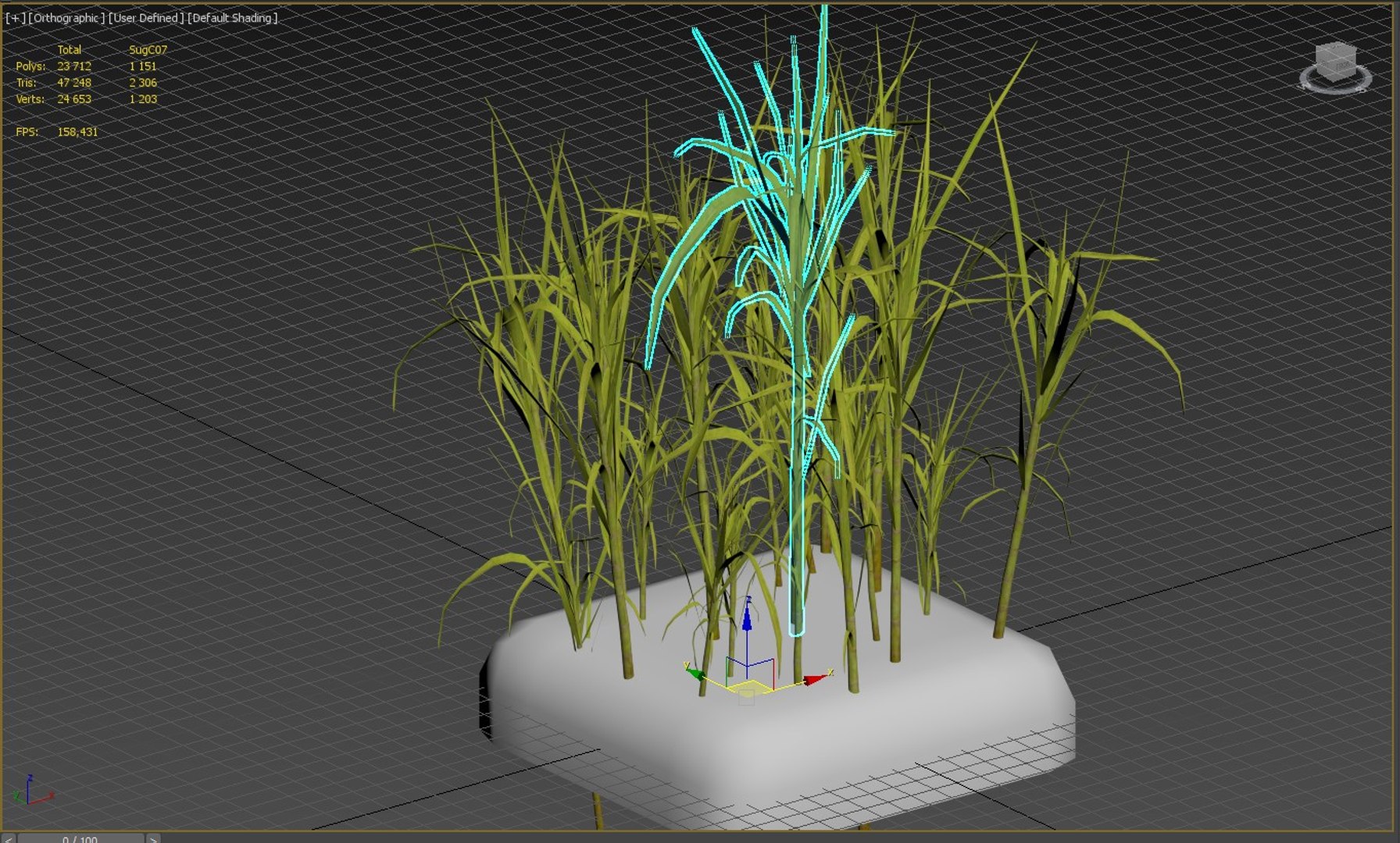 3D Model Sugar Cane - TurboSquid 1474427