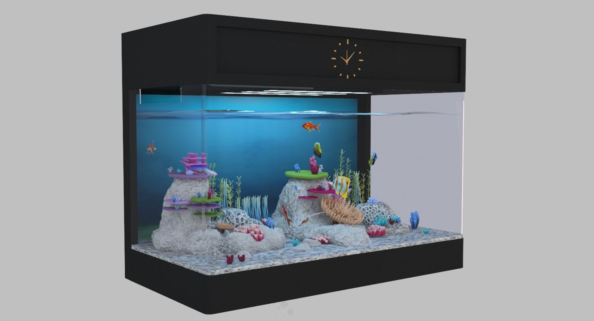 3D Model Aquarium Fish Box - TurboSquid 1253812