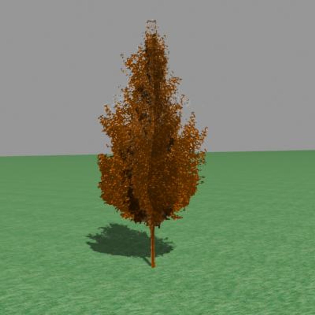 Autumn Trees 3d Model