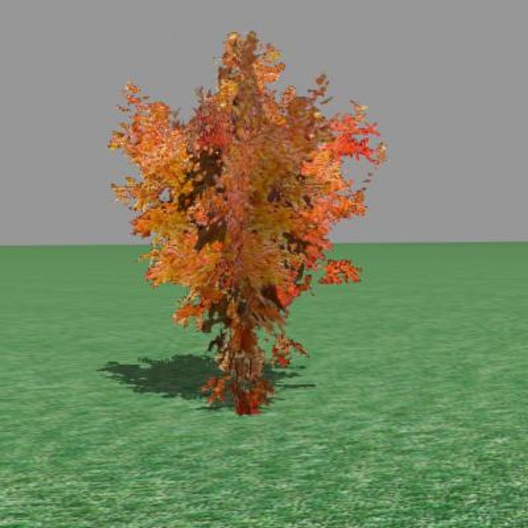Autumn Trees 3d Model