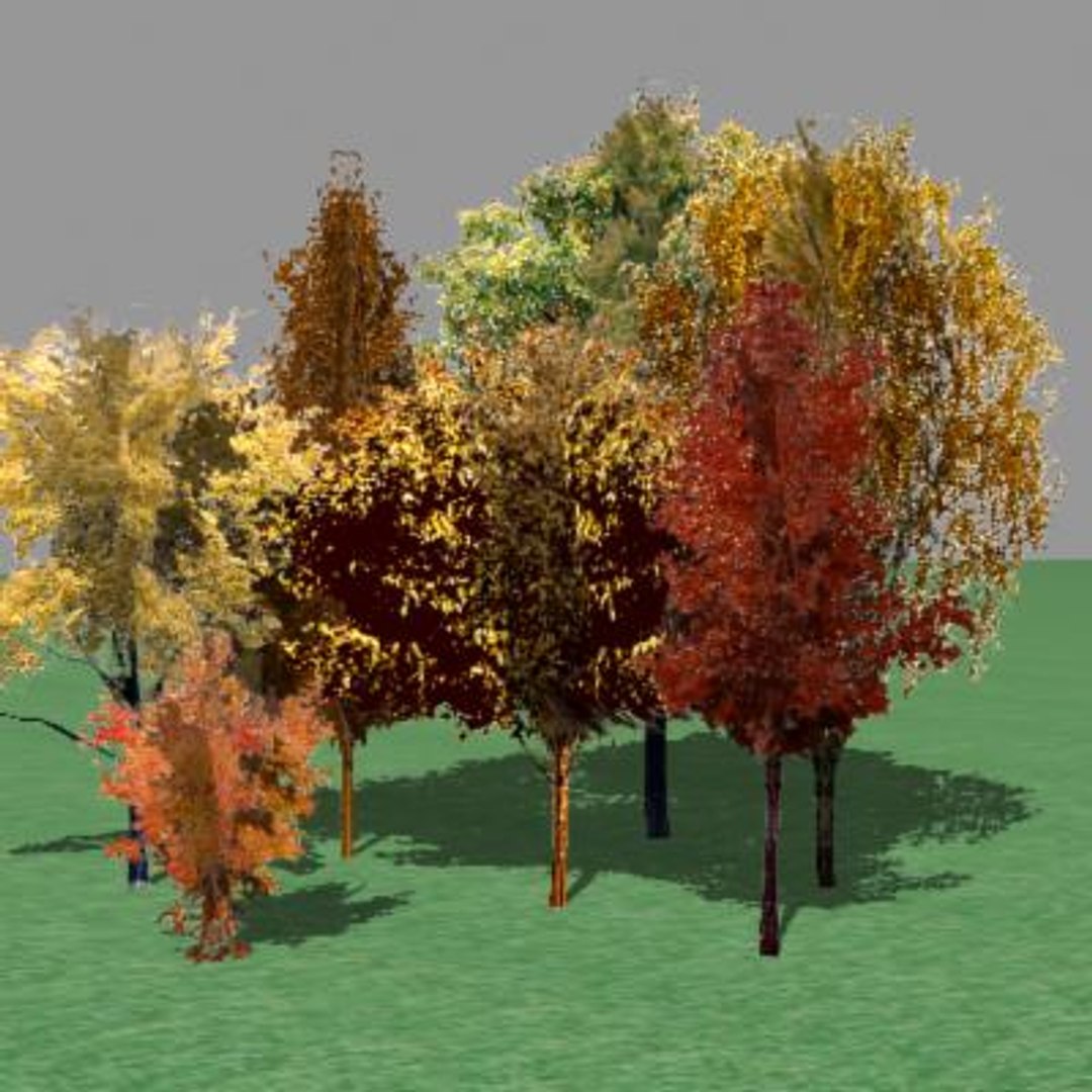 Autumn Trees 3d Model