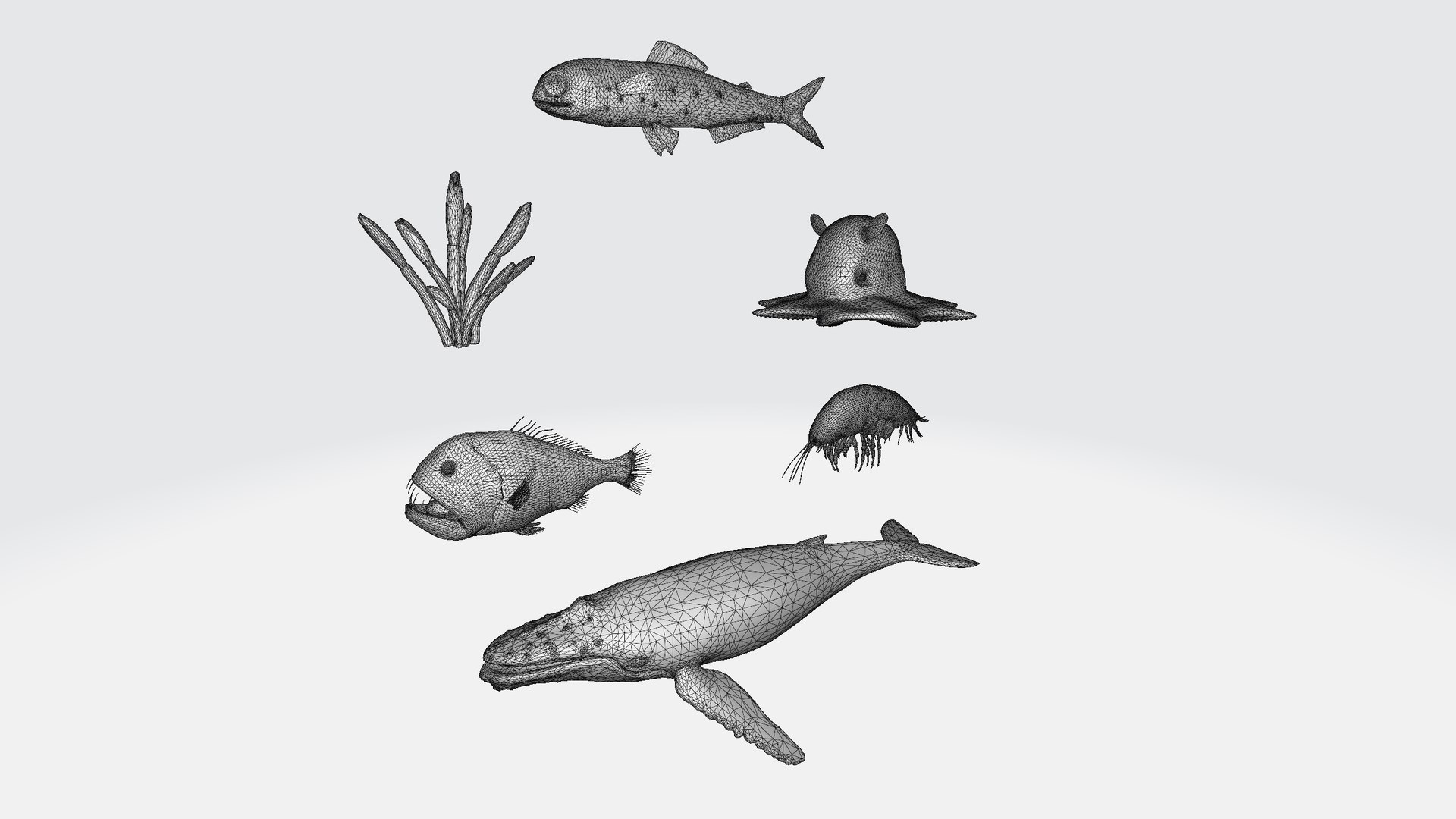 Create An Ocean Scene 3D - TurboSquid 2355935