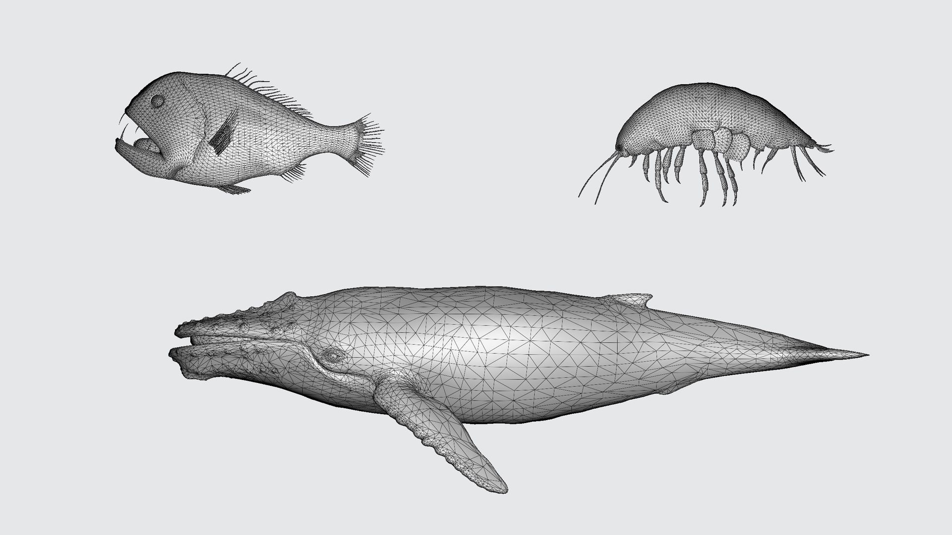 Create An Ocean Scene 3D - TurboSquid 2355935