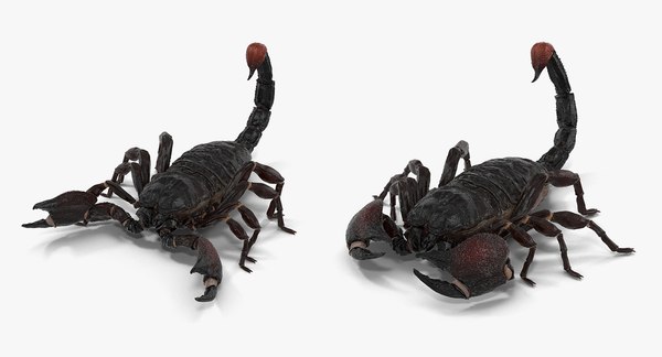 3D model Rigged Creeping Insects Collection 3 for Maya - TurboSquid 1905623