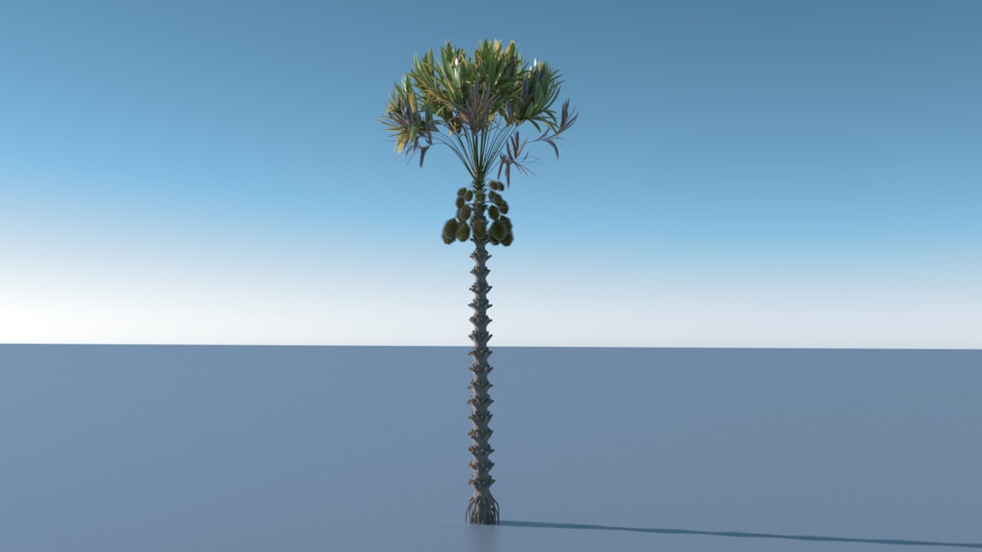 Palm Tree 3D Model - TurboSquid 1591437