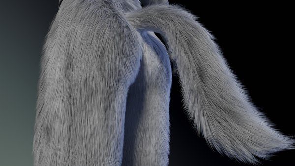 3D Richard Anthro Wolf model - TurboSquid 1848378