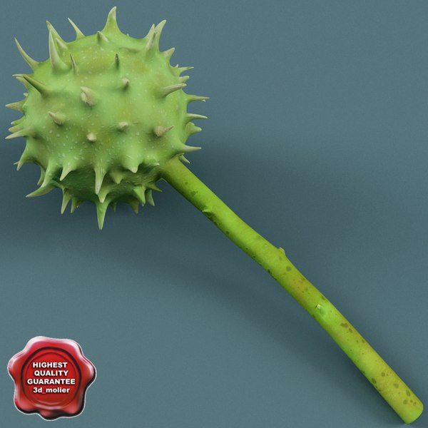 Castaña 3D Modelos para Descargar | TurboSquid