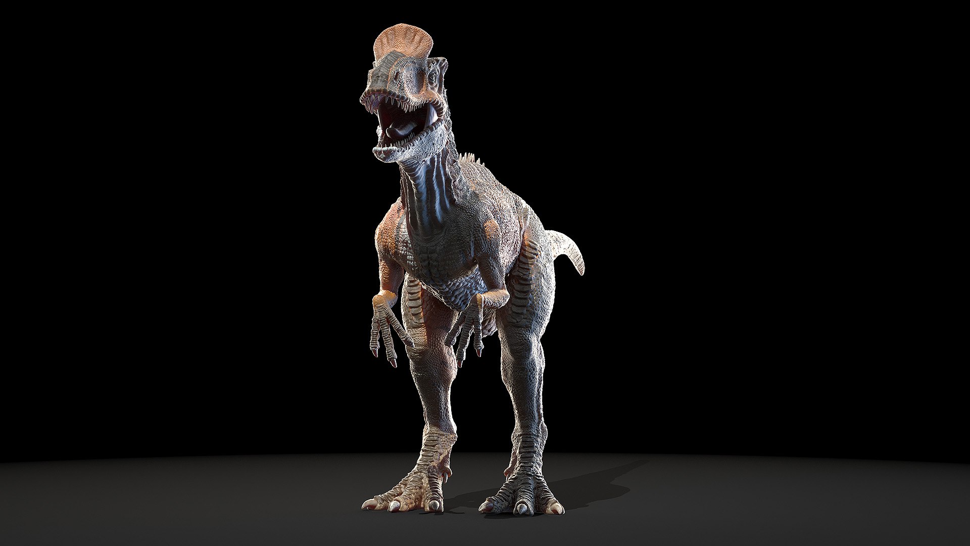 Cryolophosaurus Cryolophosauro Model - TurboSquid 1590950