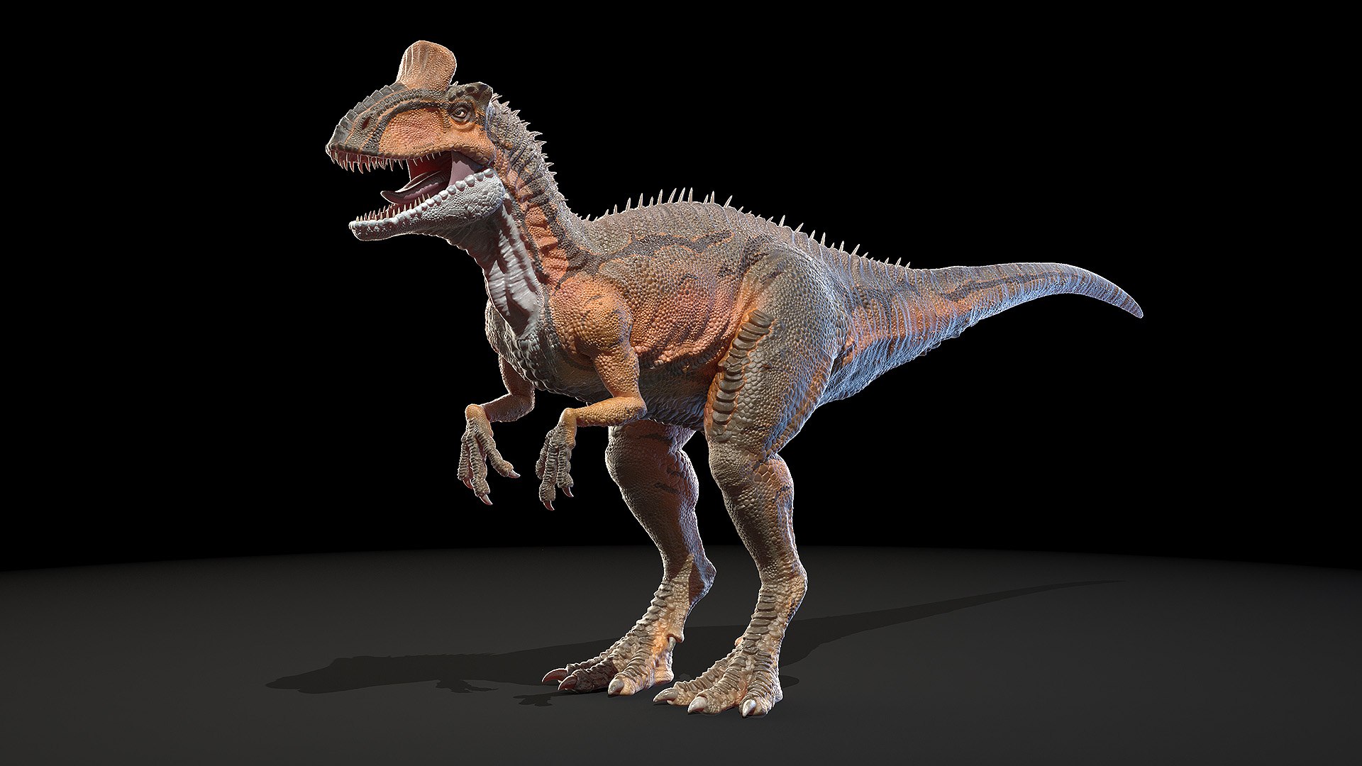 Cryolophosaurus cryolophosauro model - TurboSquid 1590950