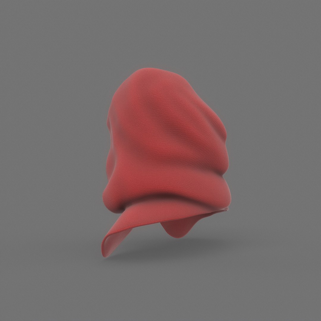 3D Cloak Model - TurboSquid 2012838
