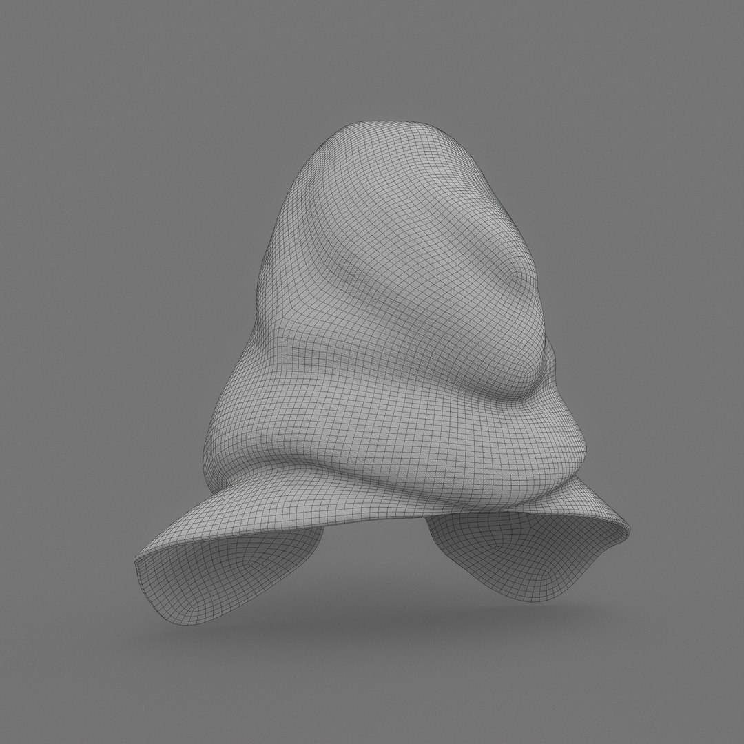 3D Cloak Model - TurboSquid 2012838