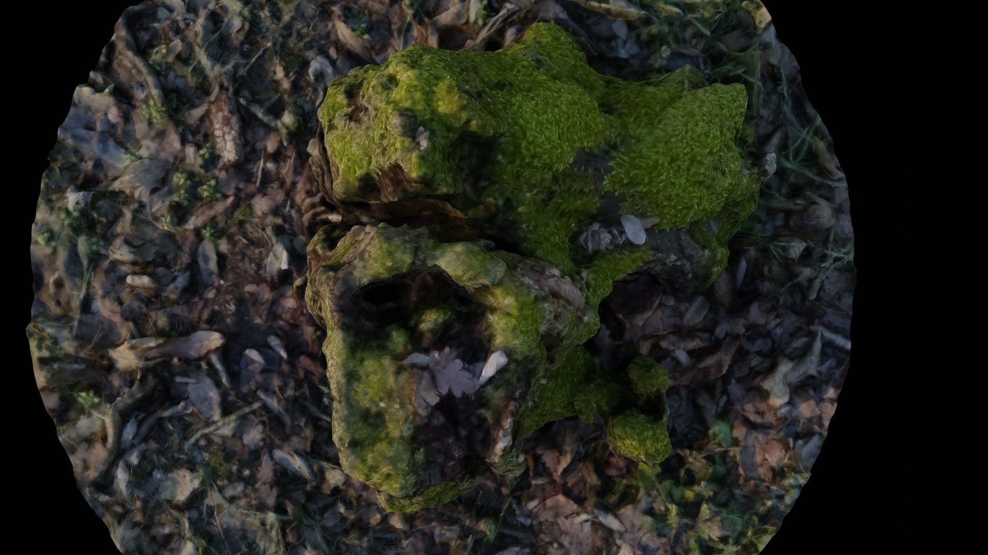 3D Model Stump In Moss - TurboSquid 1759185