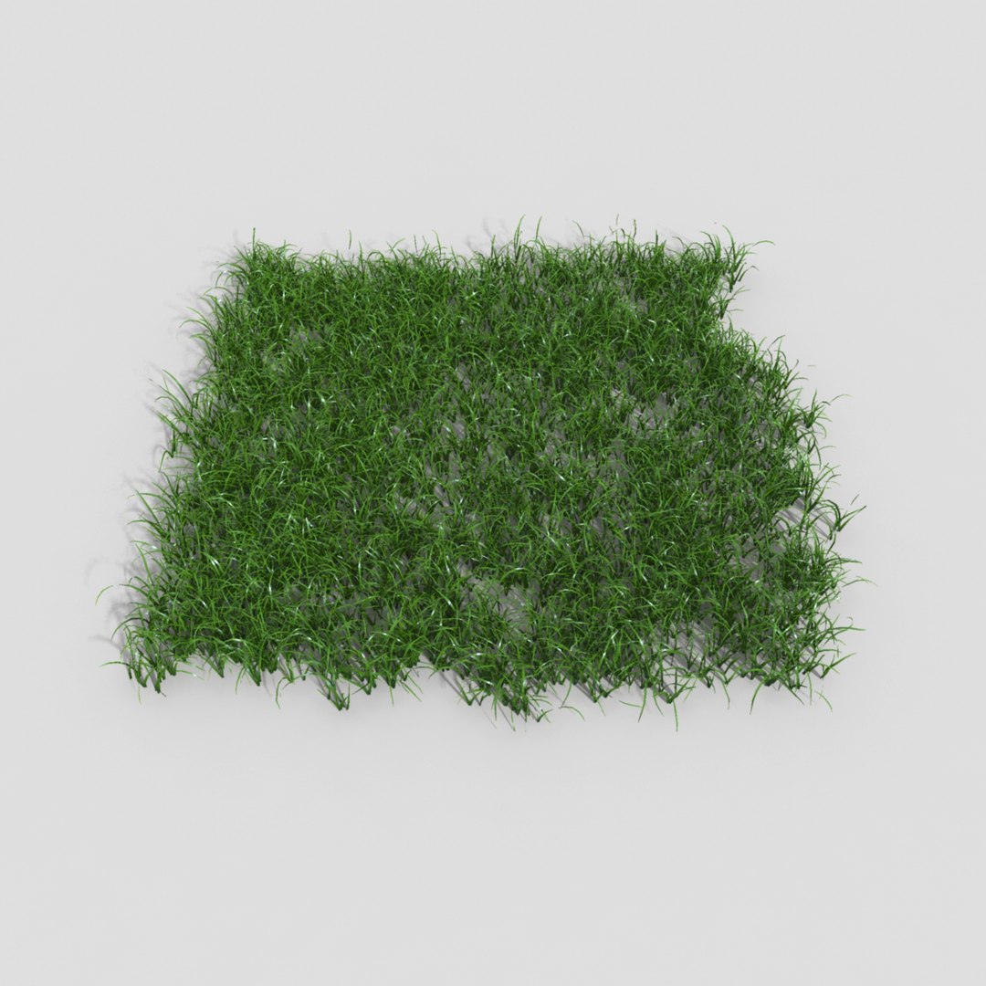 Grass Realistic Plant 3d Model