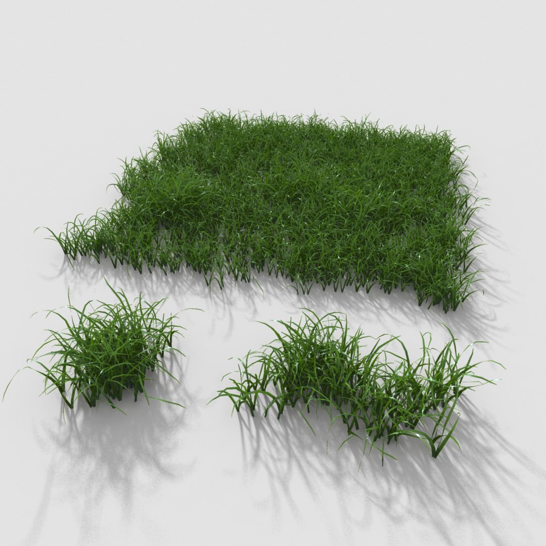 Grass Realistic Plant 3d Model