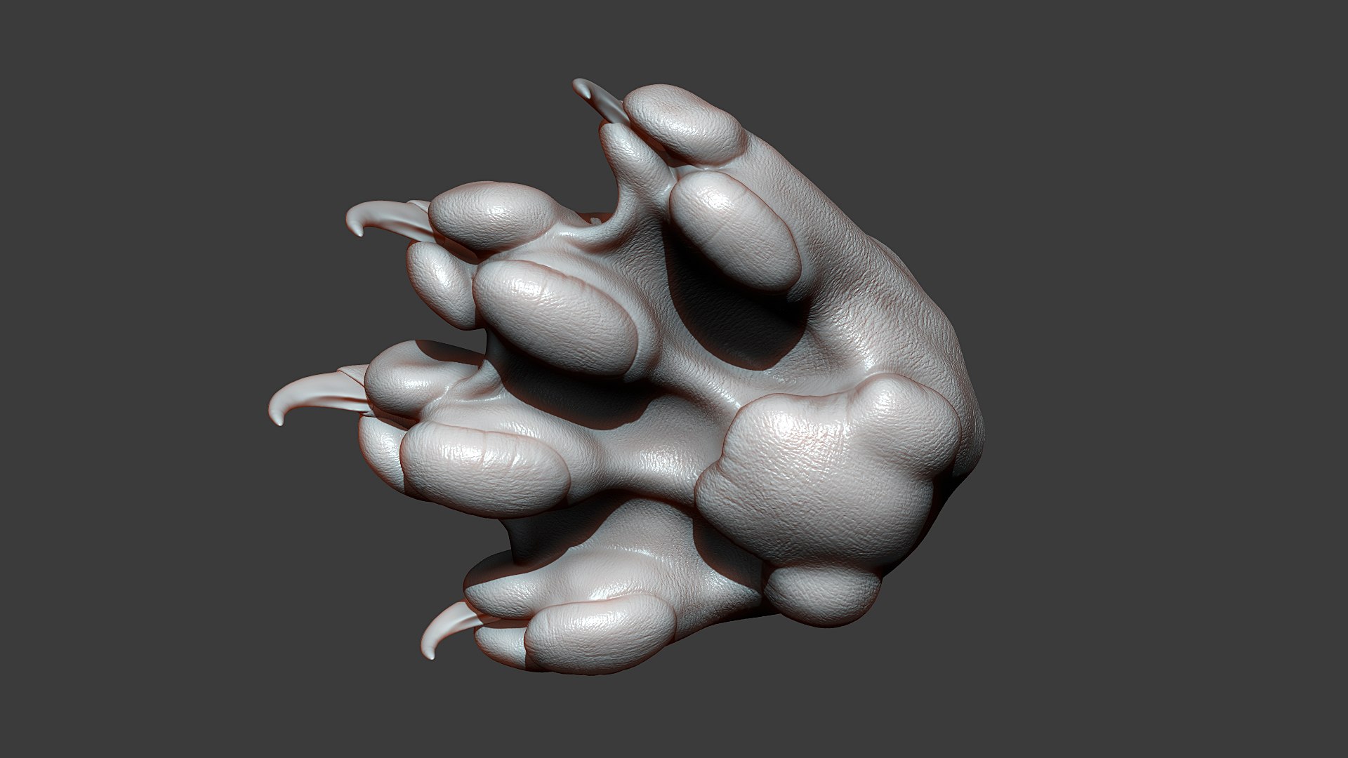 3D Model Cat Paw Highpoly Sculpt - TurboSquid 1804965