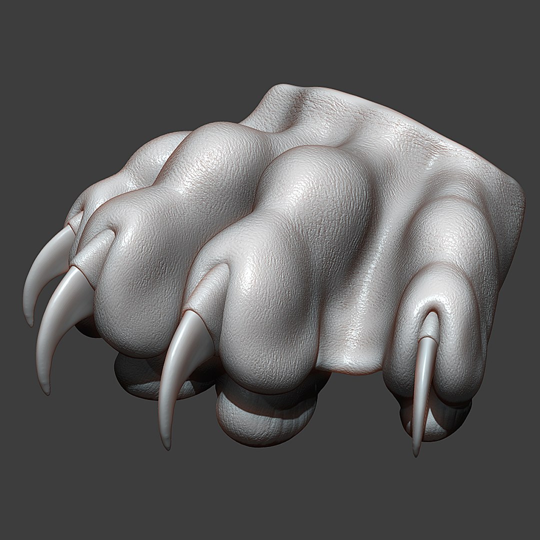 3D Model Cat Paw Highpoly Sculpt - TurboSquid 1804965