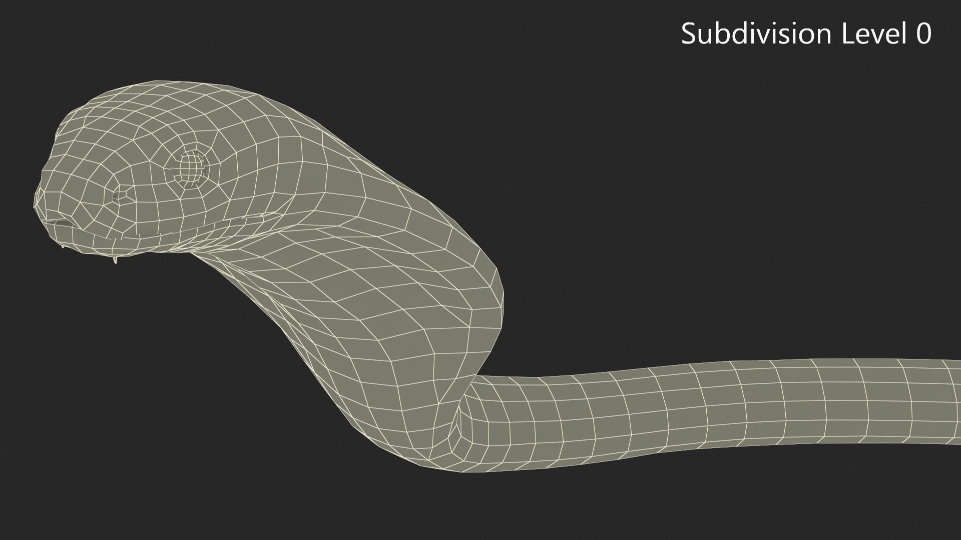 3D Crawling Light Skin Cobra Animated Rigged Model - TurboSquid 2413187