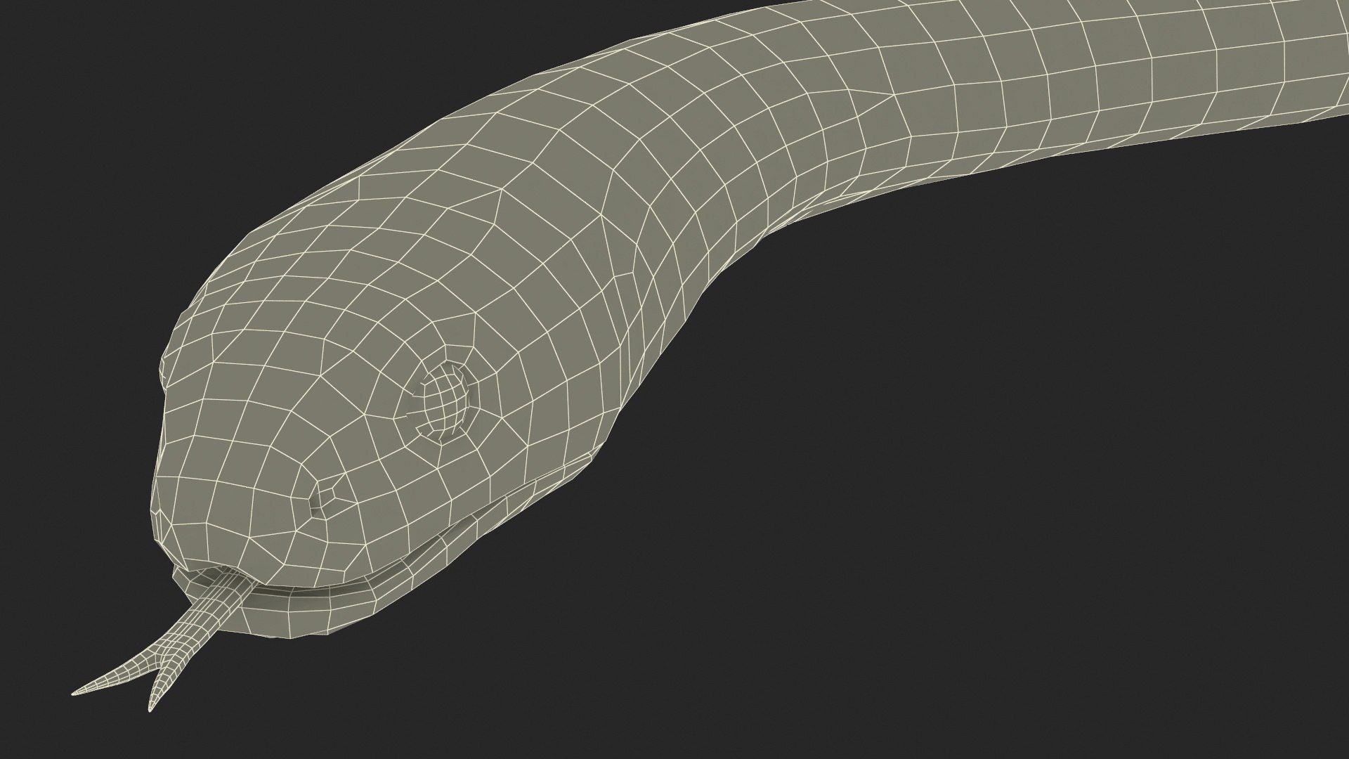 3D Crawling Light Skin Cobra Animated Rigged Model - TurboSquid 2413187