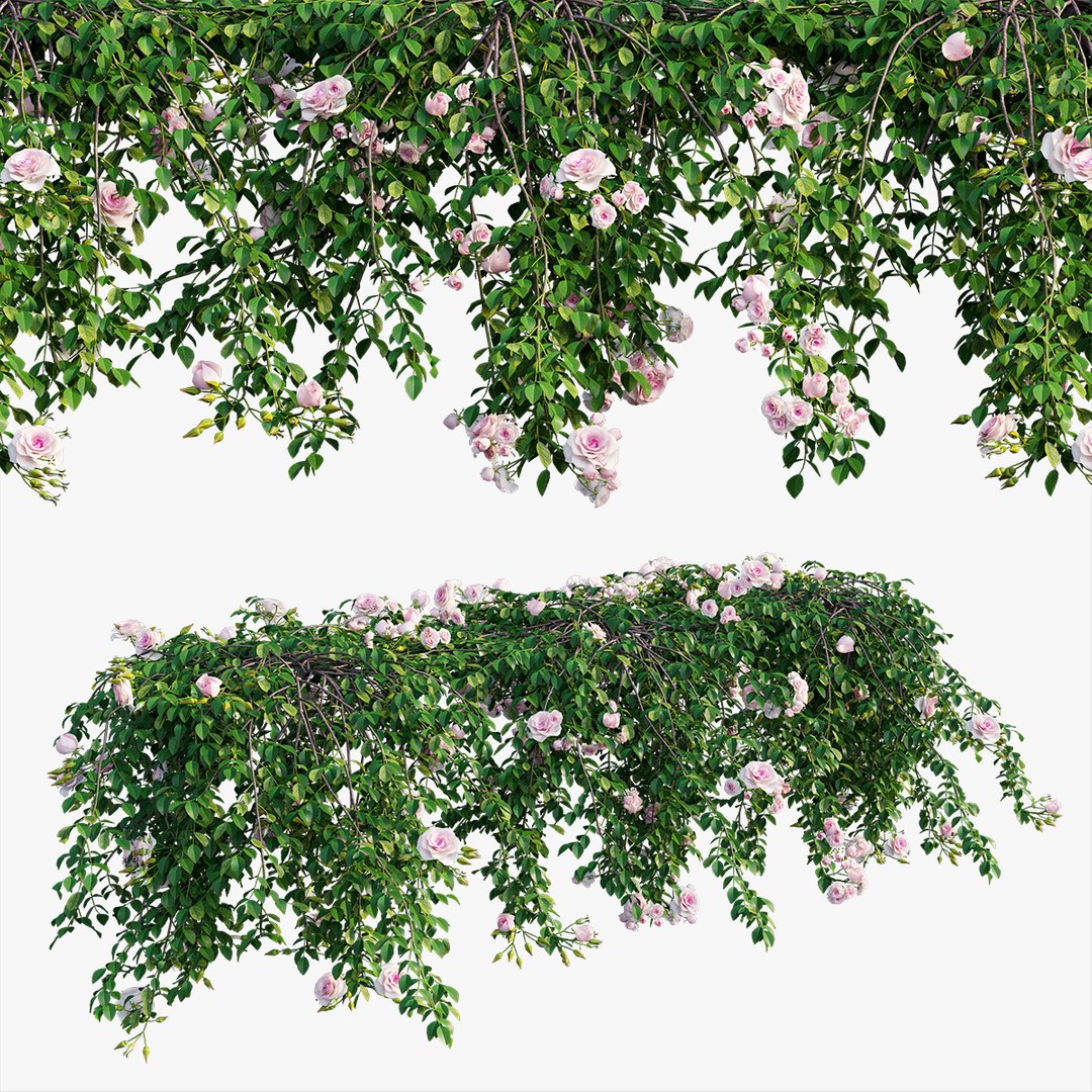 Free 3D Rose Plant Set 29 Model - TurboSquid 1604043