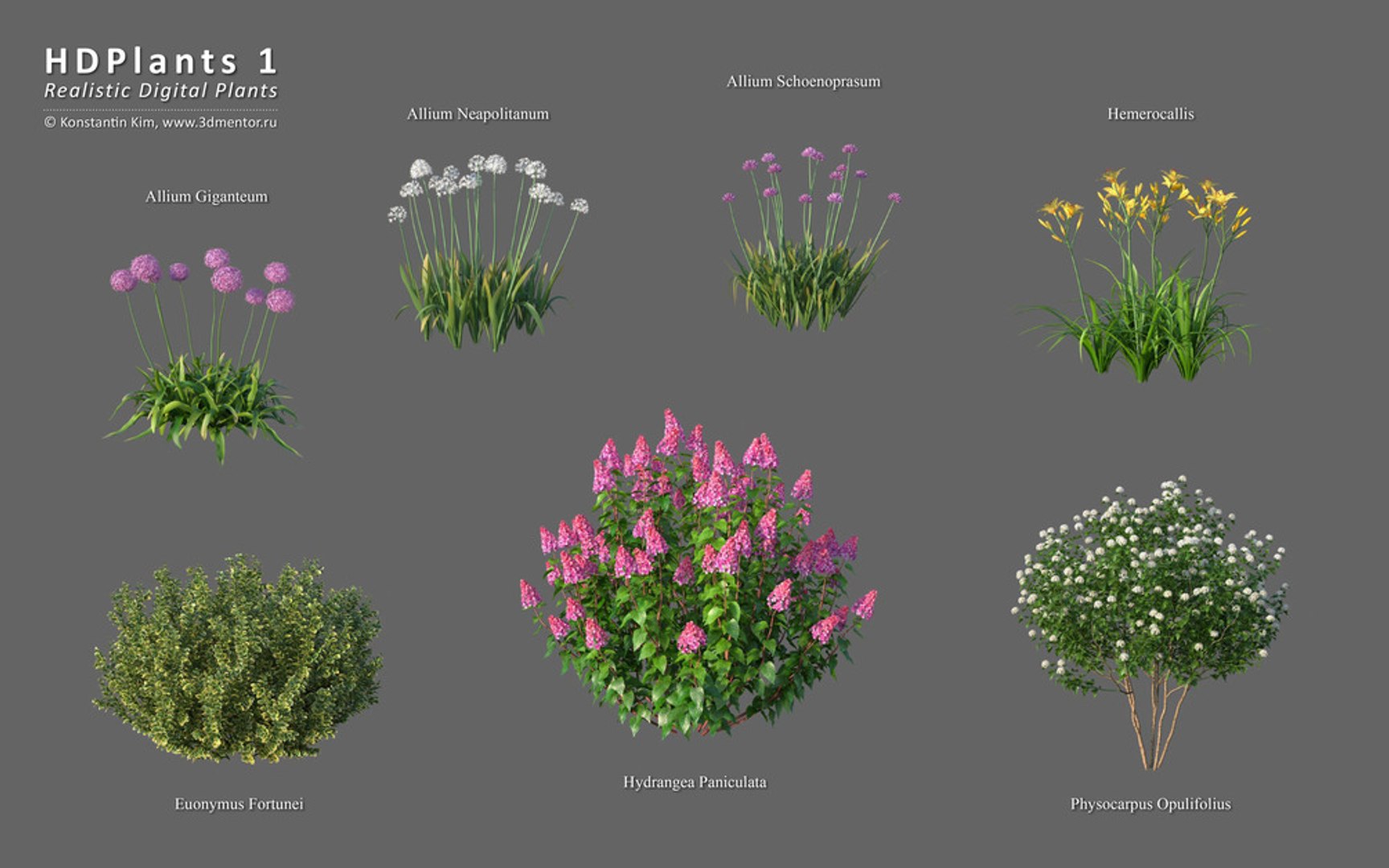 XfrogPlants HDPlants 1 3D - TurboSquid 1724758