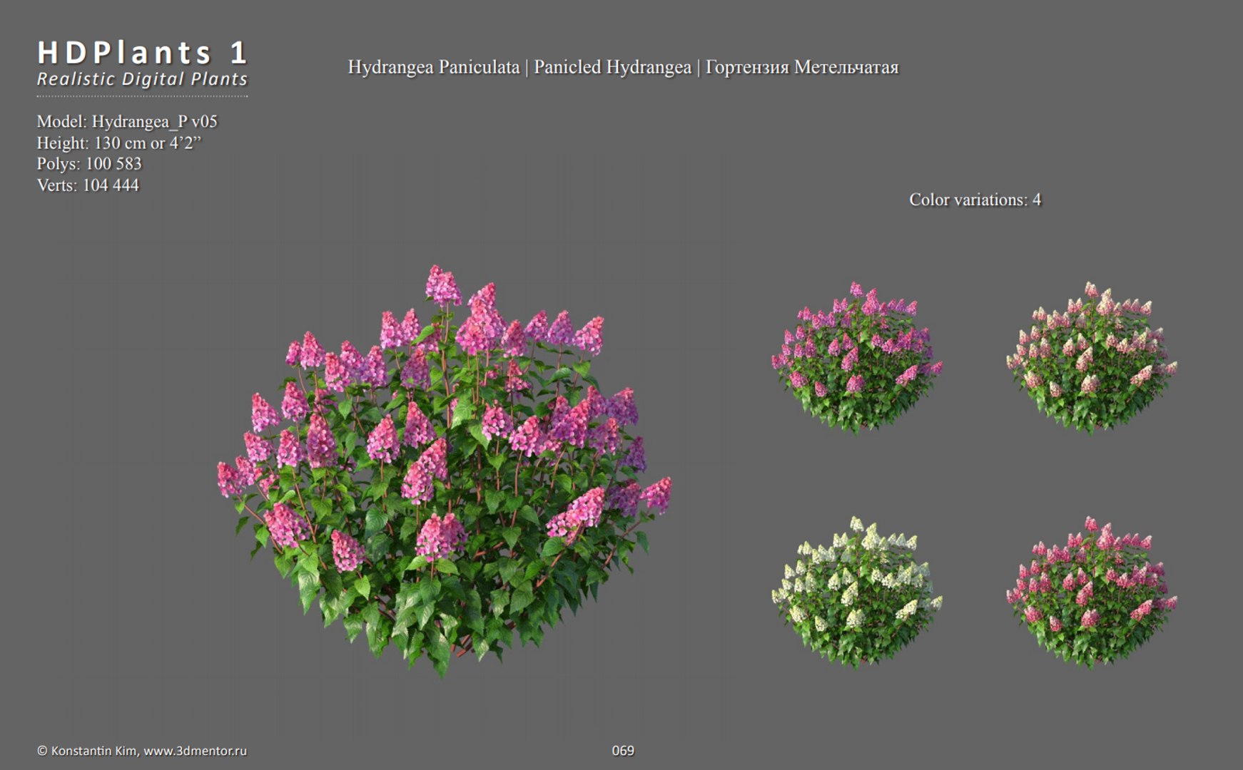 XfrogPlants HDPlants 1 3D - TurboSquid 1724758