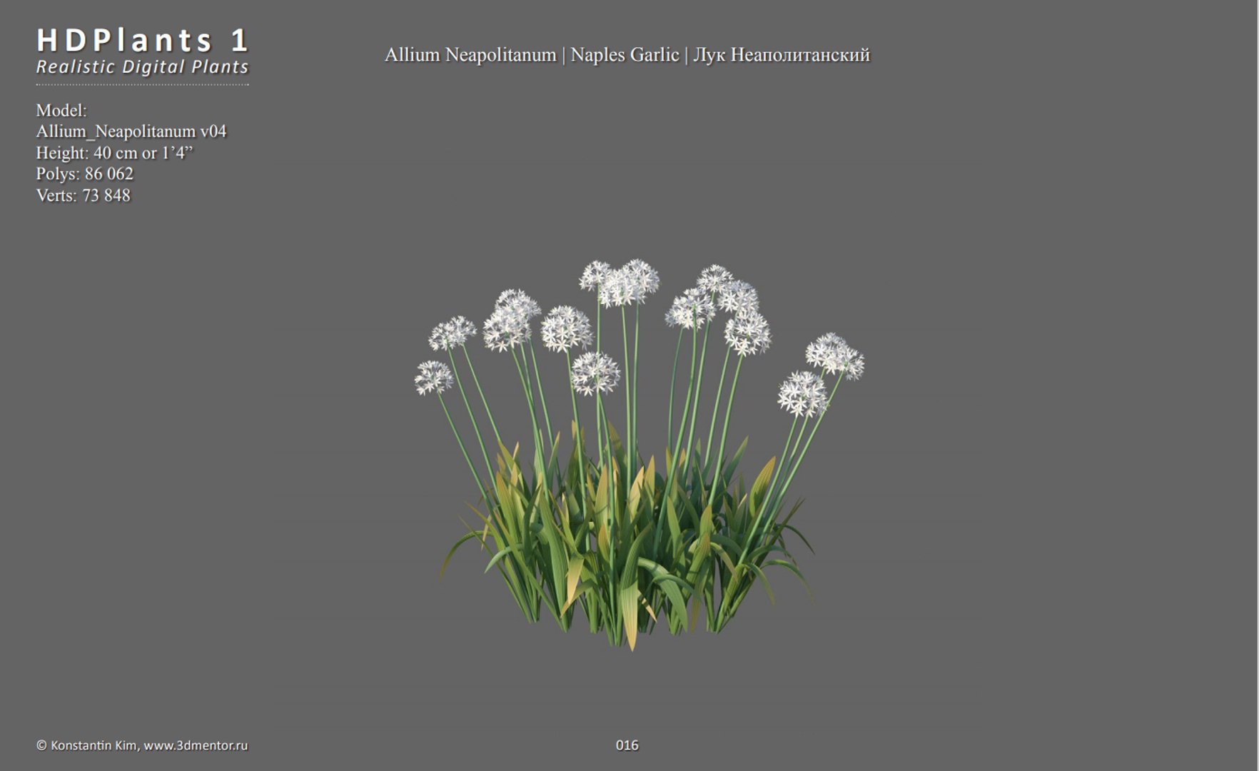 XfrogPlants HDPlants 1 3D - TurboSquid 1724758