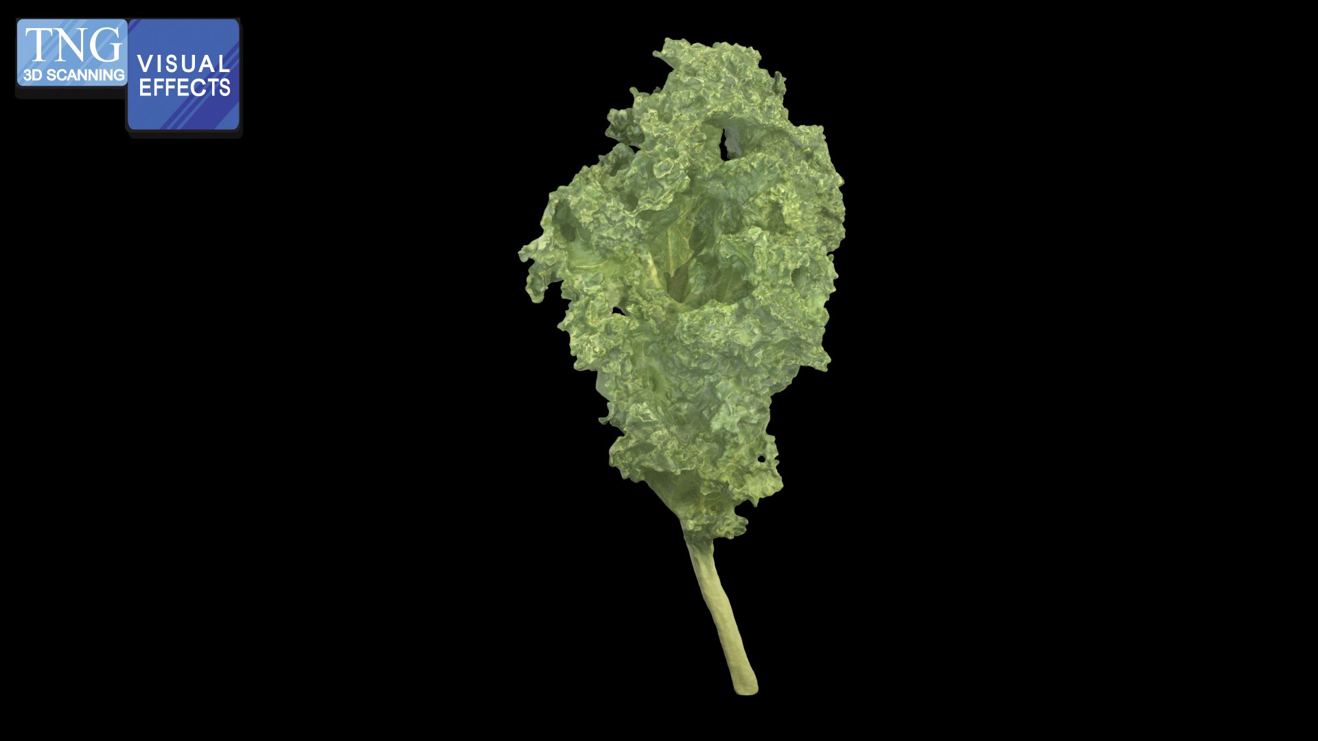 Kale Vegetable Food 3D Model - TurboSquid 1463929