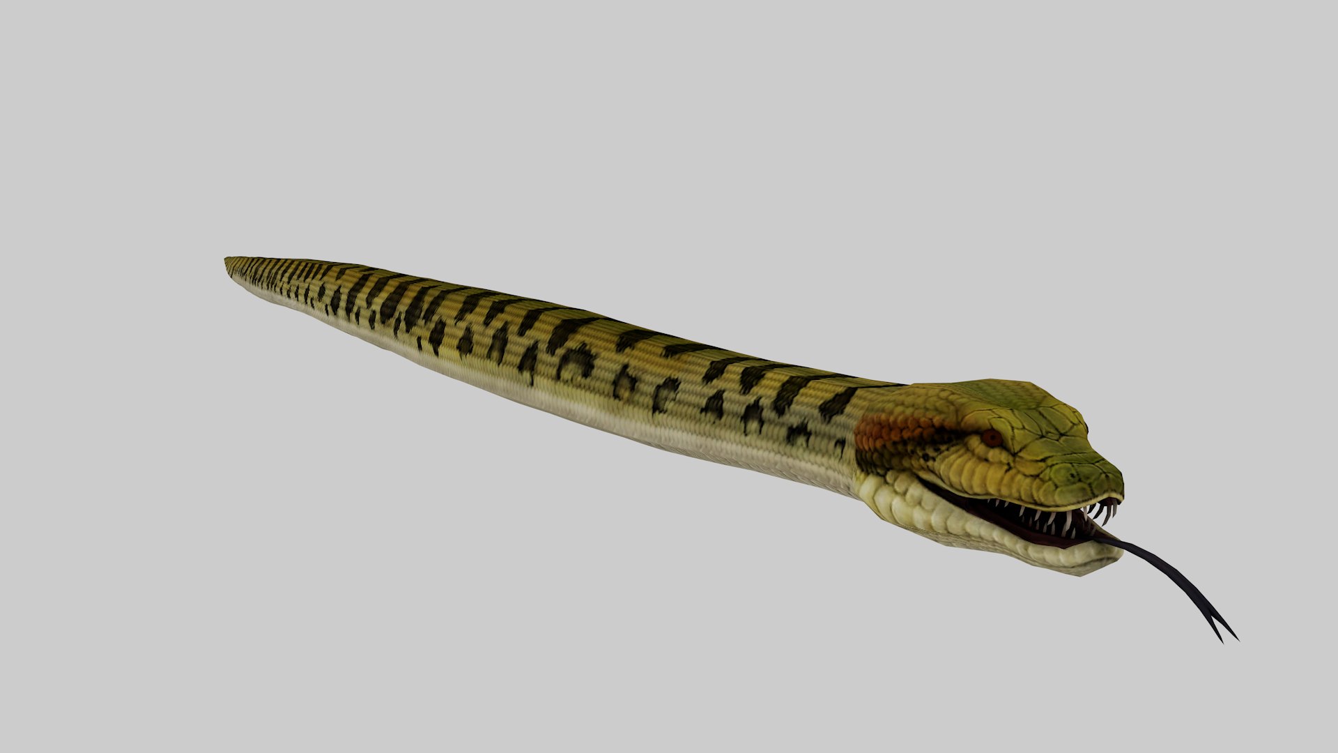 Realistic Snake 3D Model High Detail Rigged And Textured 3D Model ...