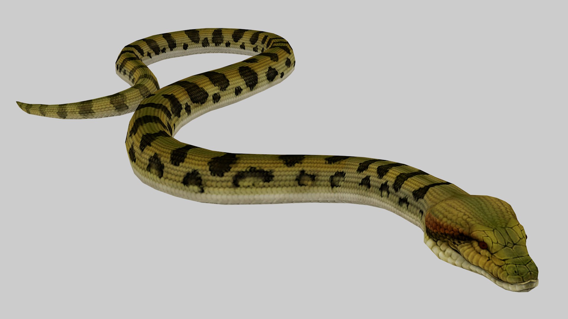 Realistic Snake 3D Model High Detail Rigged And Textured 3D Model ...