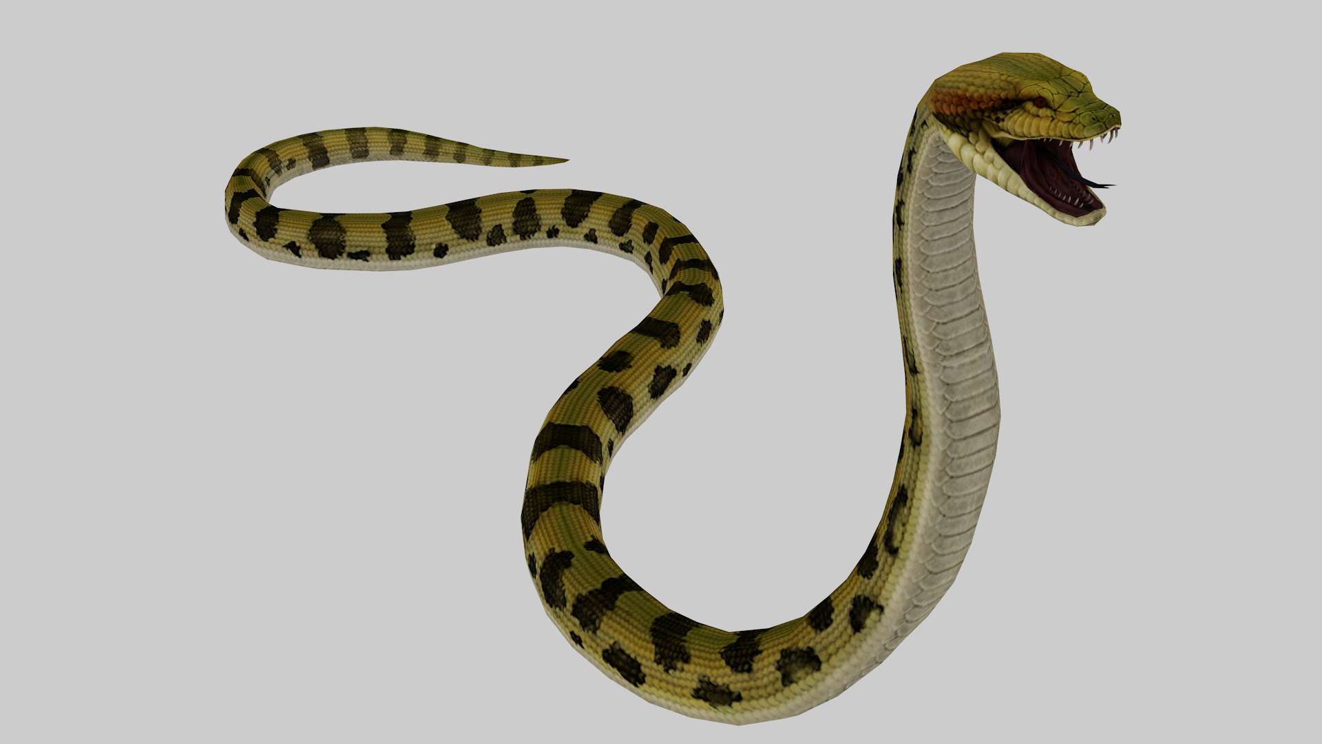 Realistic Snake 3D Model High Detail Rigged And Textured 3D Model ...