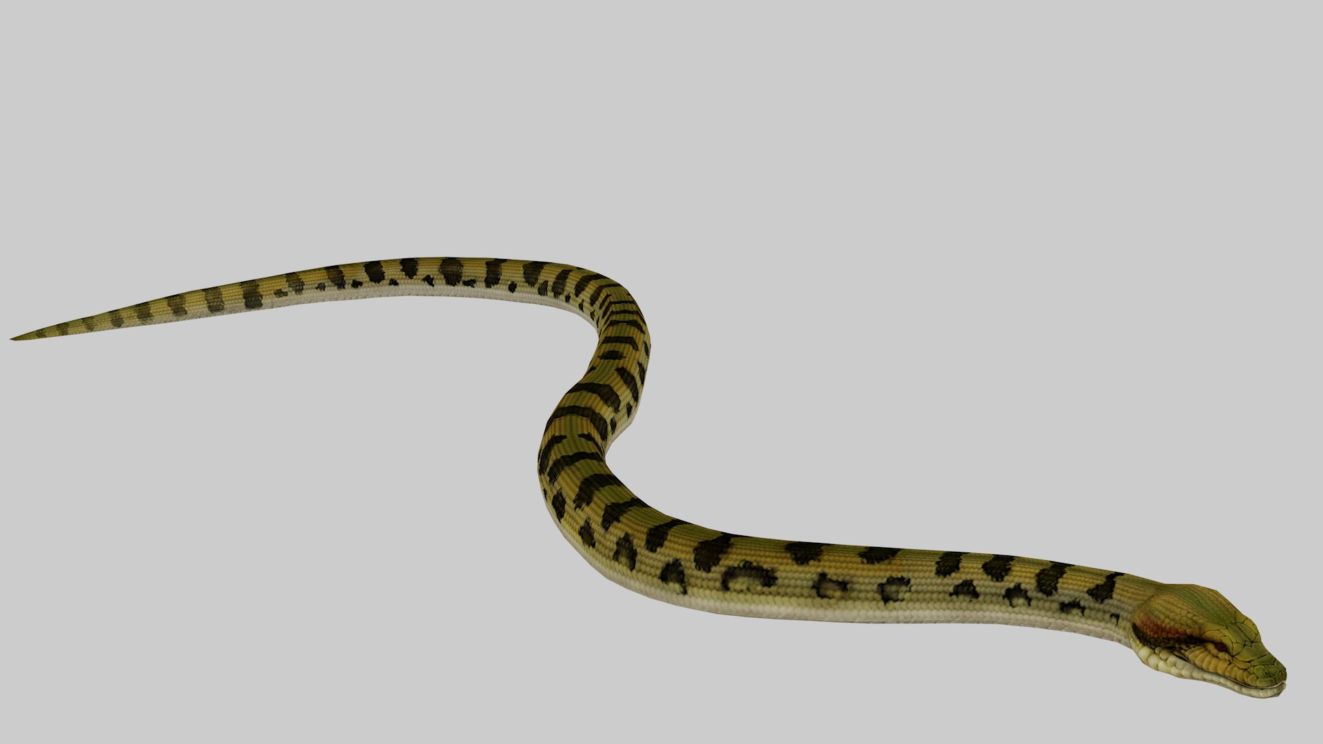 Realistic Snake 3D Model High Detail Rigged And Textured 3D Model ...