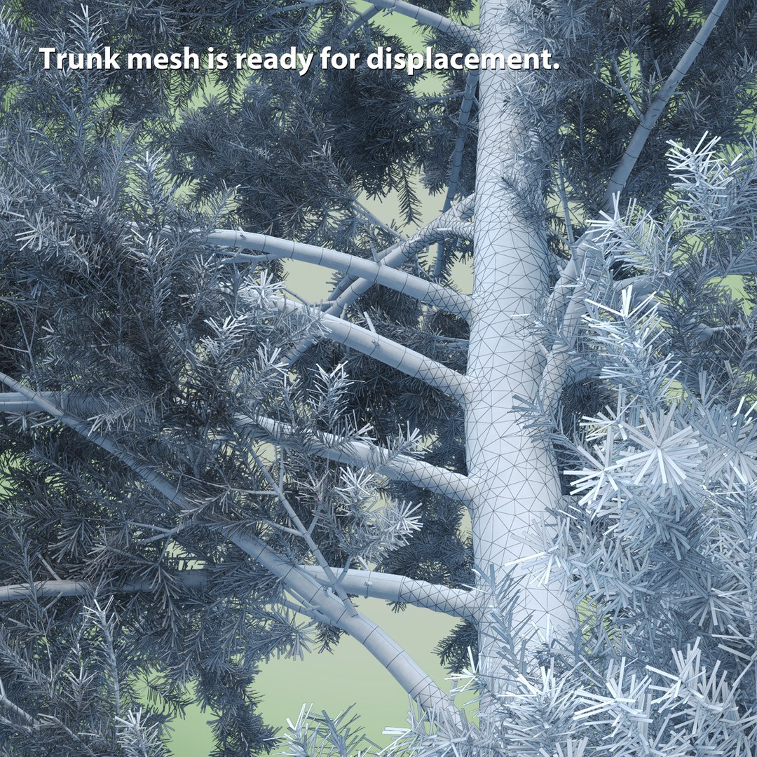 Pine Tree Hq 3d Model