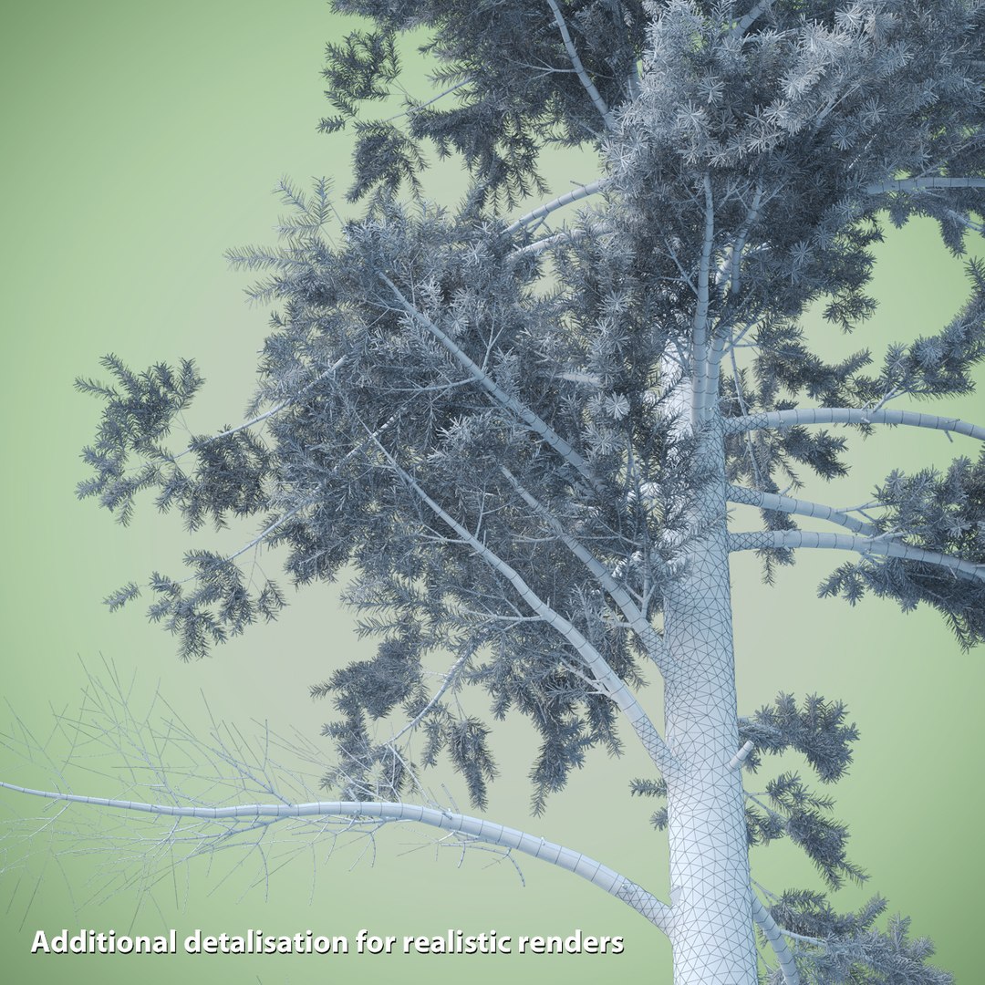 Pine Tree Hq 3d Model