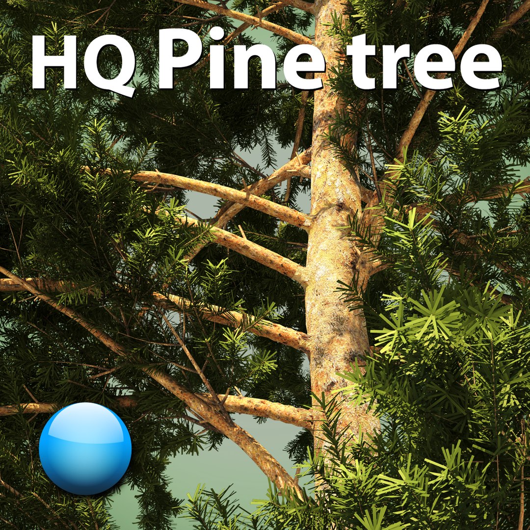 Pine Tree Hq 3d Model