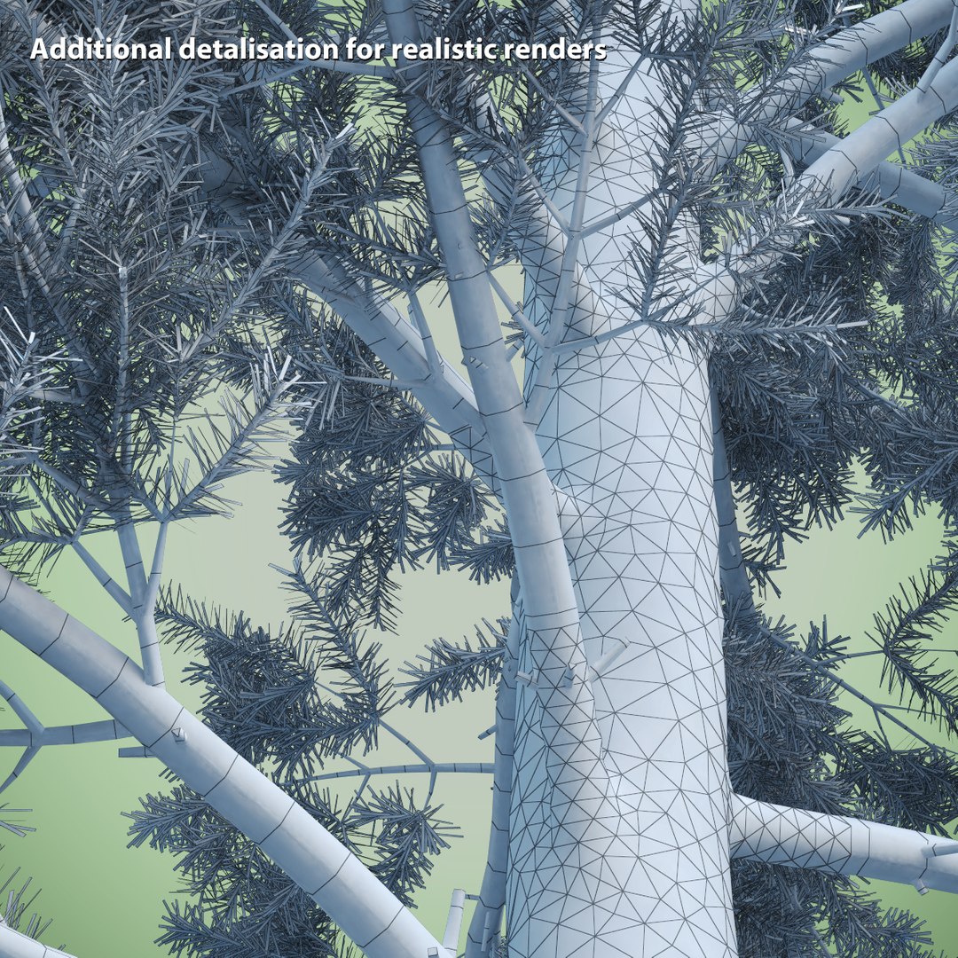 Pine Tree Hq 3d Model