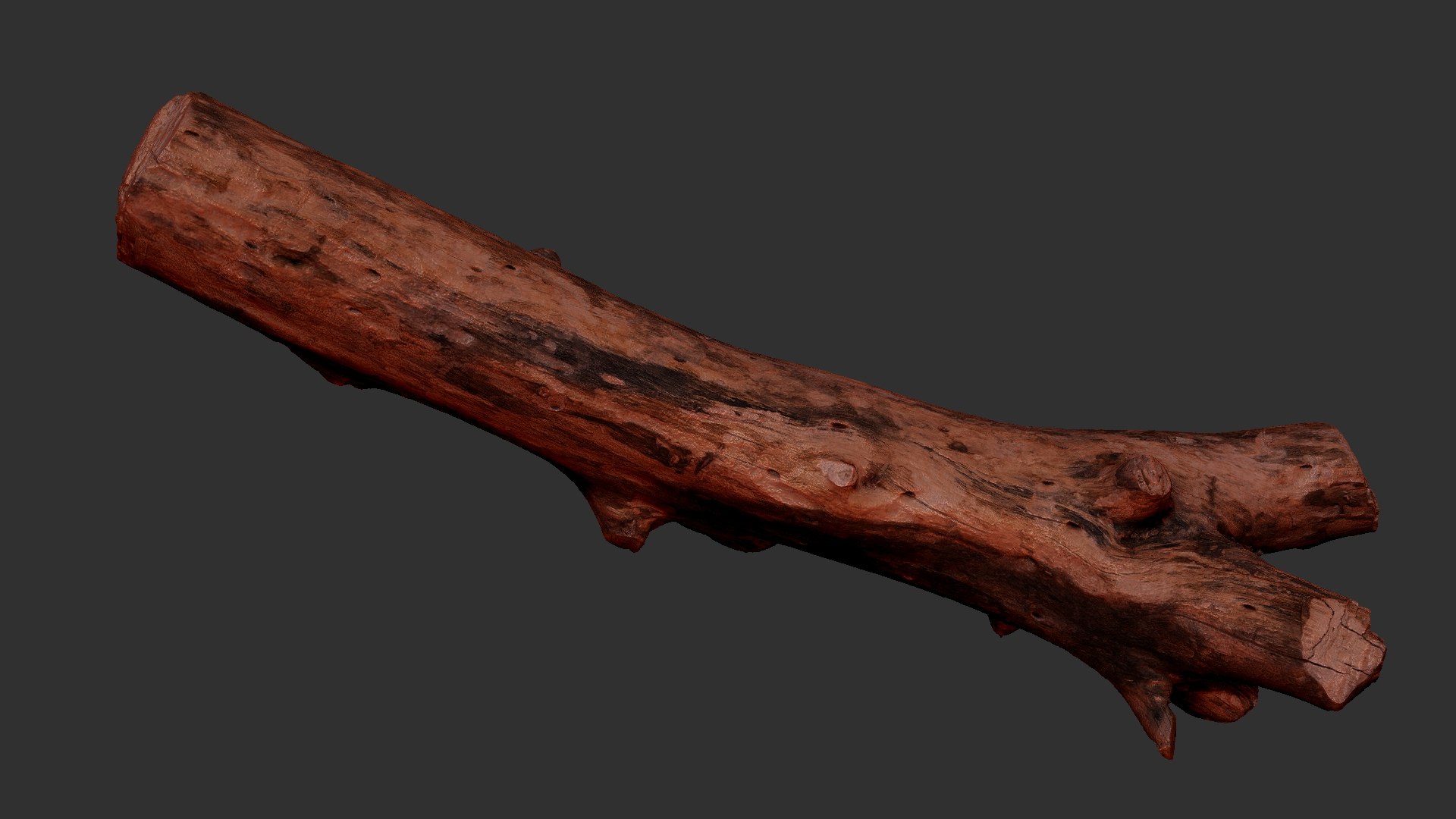 Tree Trunk 3d Scan Highpoly 3D - TurboSquid 2204106