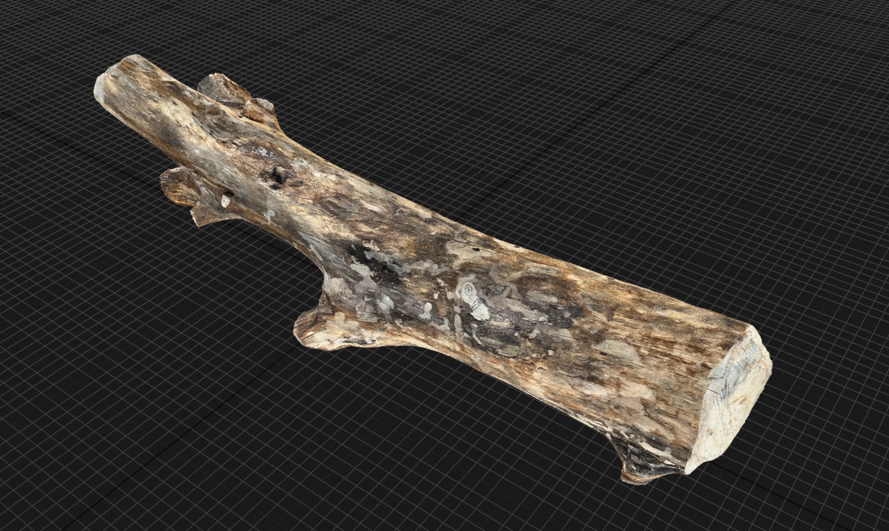 Tree Trunk 3d Scan Highpoly 3D - TurboSquid 2204106