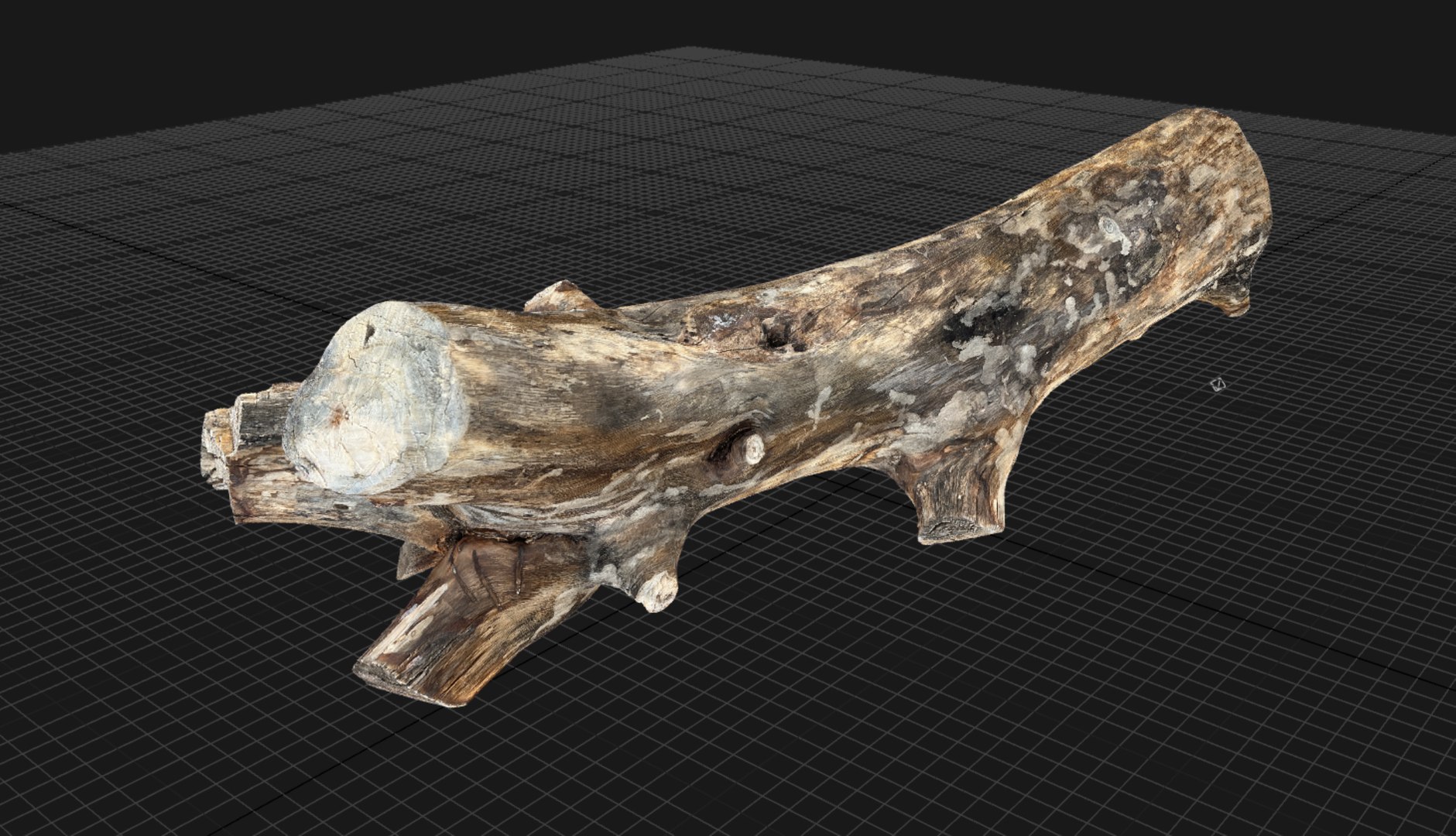 Tree Trunk 3d Scan Highpoly 3D - TurboSquid 2204106