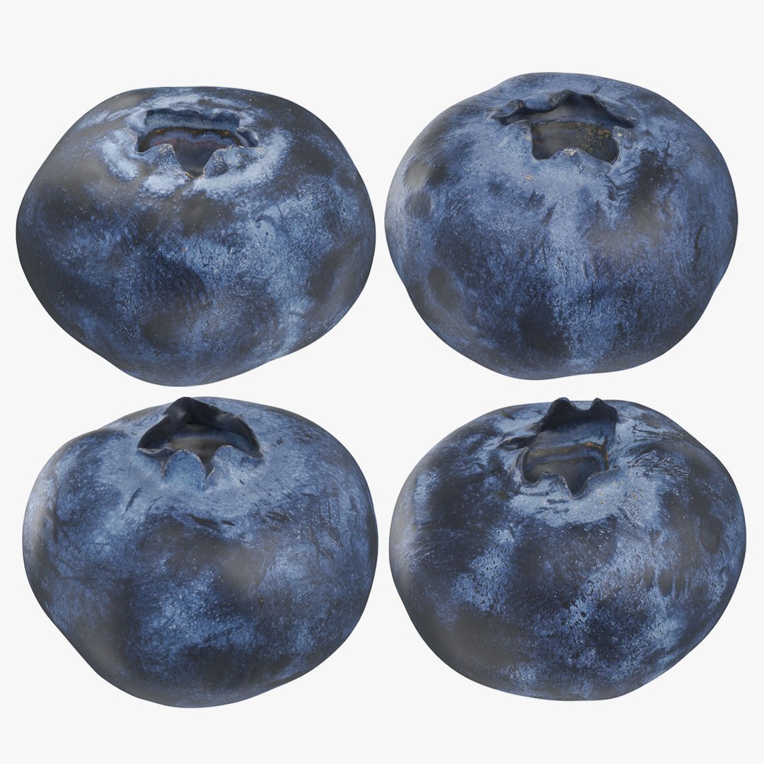 Blueberry Collection 3D - TurboSquid 2189884