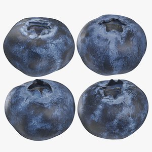3D Blueberry Models - Browse & Download Formats - TurboSquid