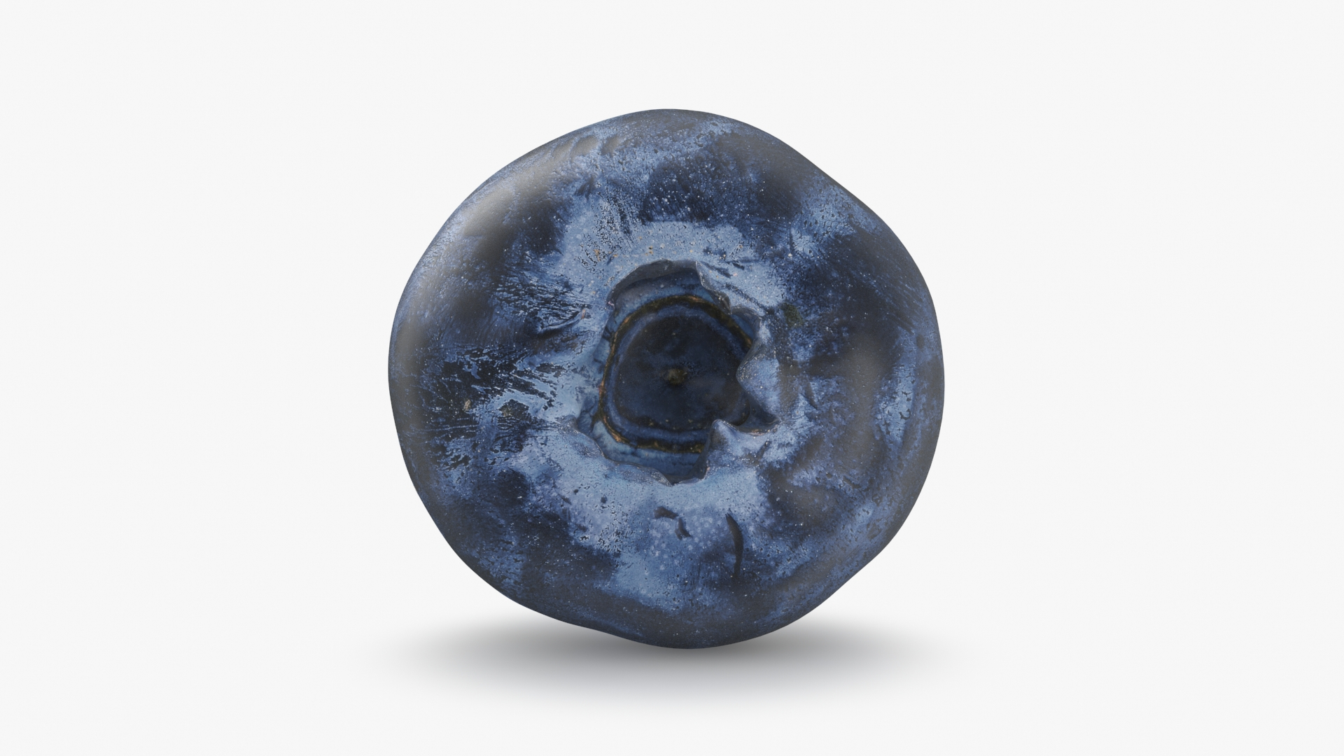 Blueberry Collection 3D - TurboSquid 2189884