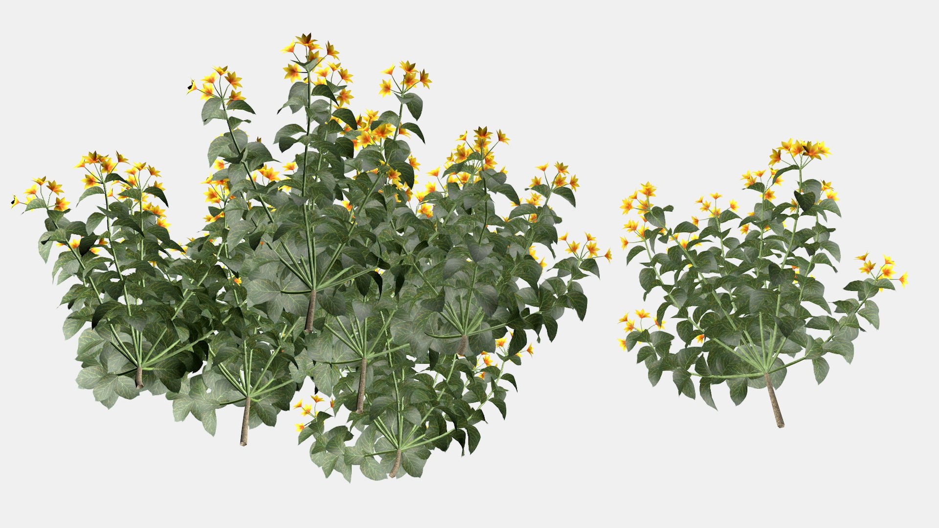 Weigela Flower Model 3D - TurboSquid 1894607