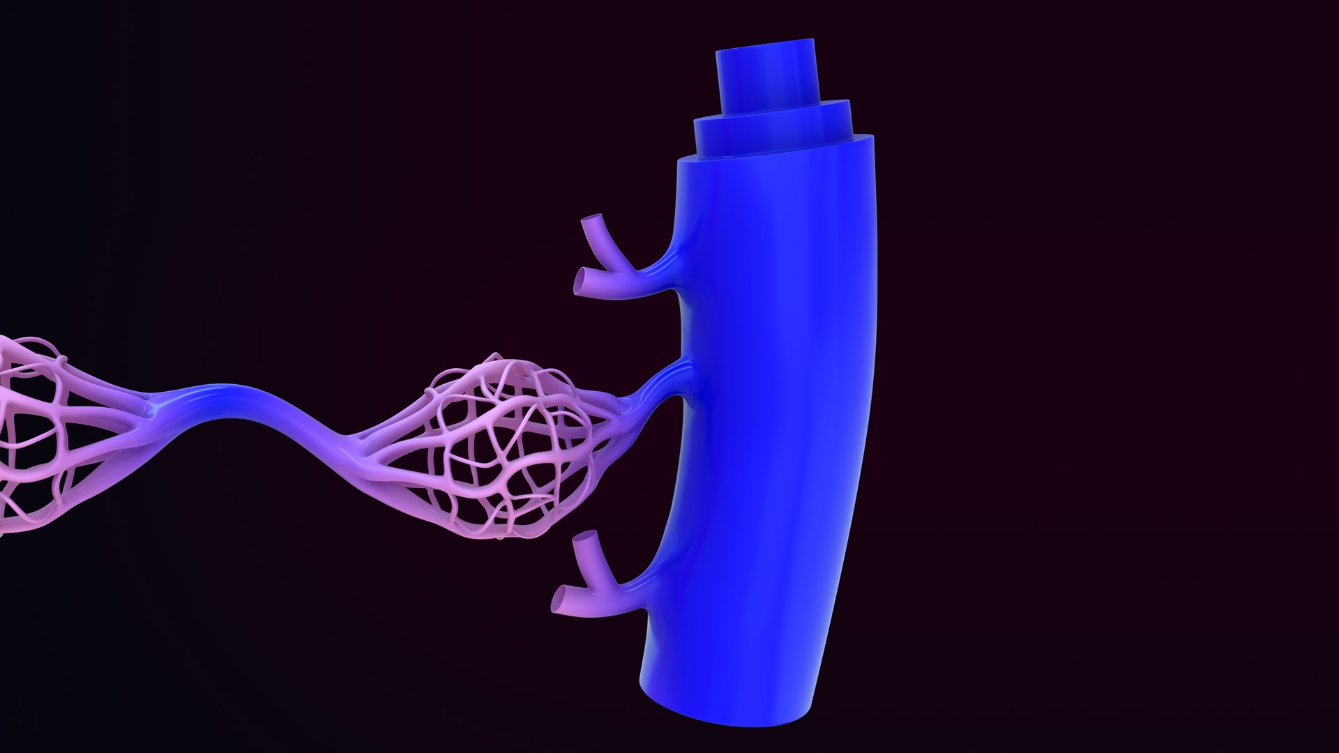 3D Model Portal Circulatory System - TurboSquid 2186716