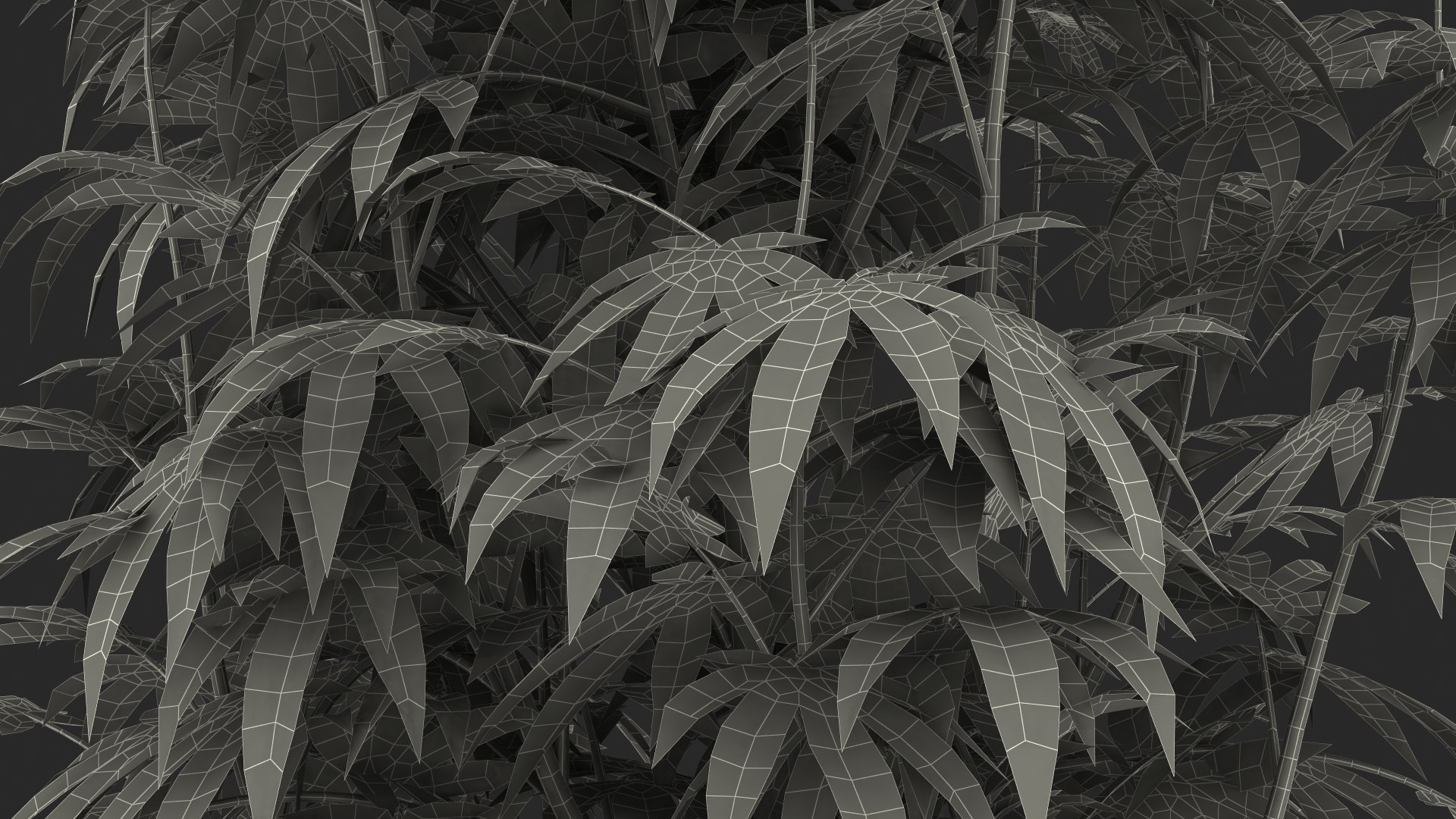 Marijuana plant 3D model - TurboSquid 1511498