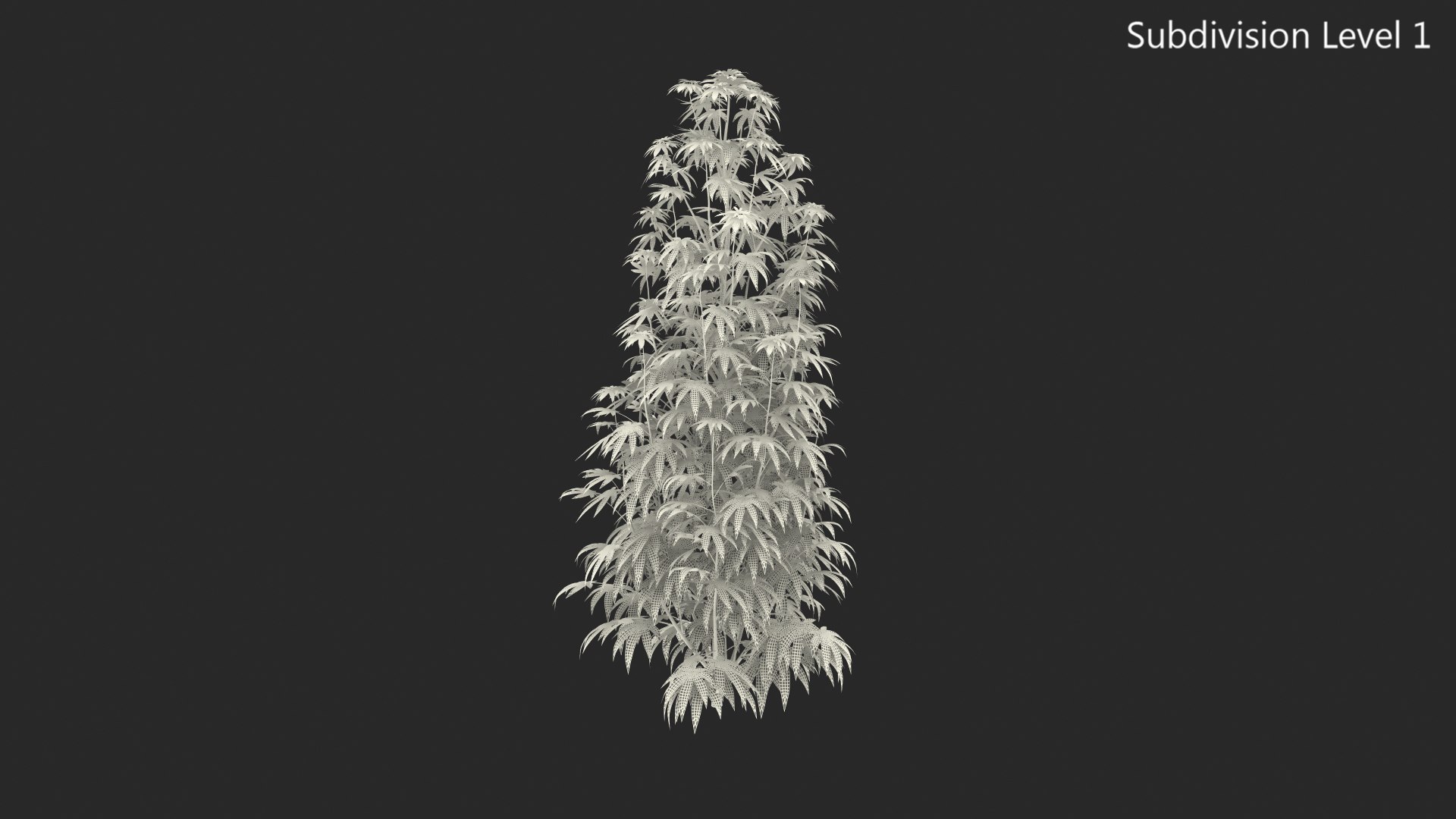 Marijuana plant 3D model - TurboSquid 1511498