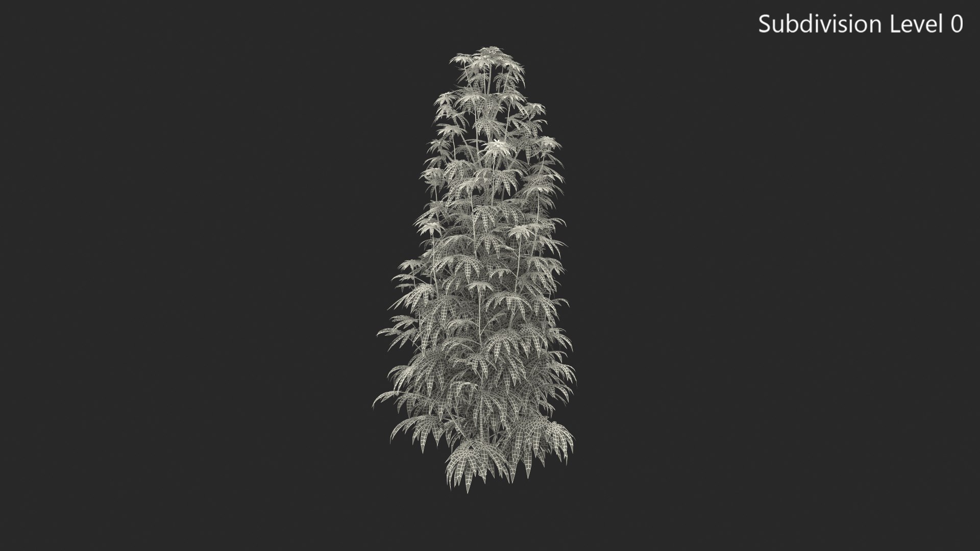 Marijuana plant 3D model - TurboSquid 1511498