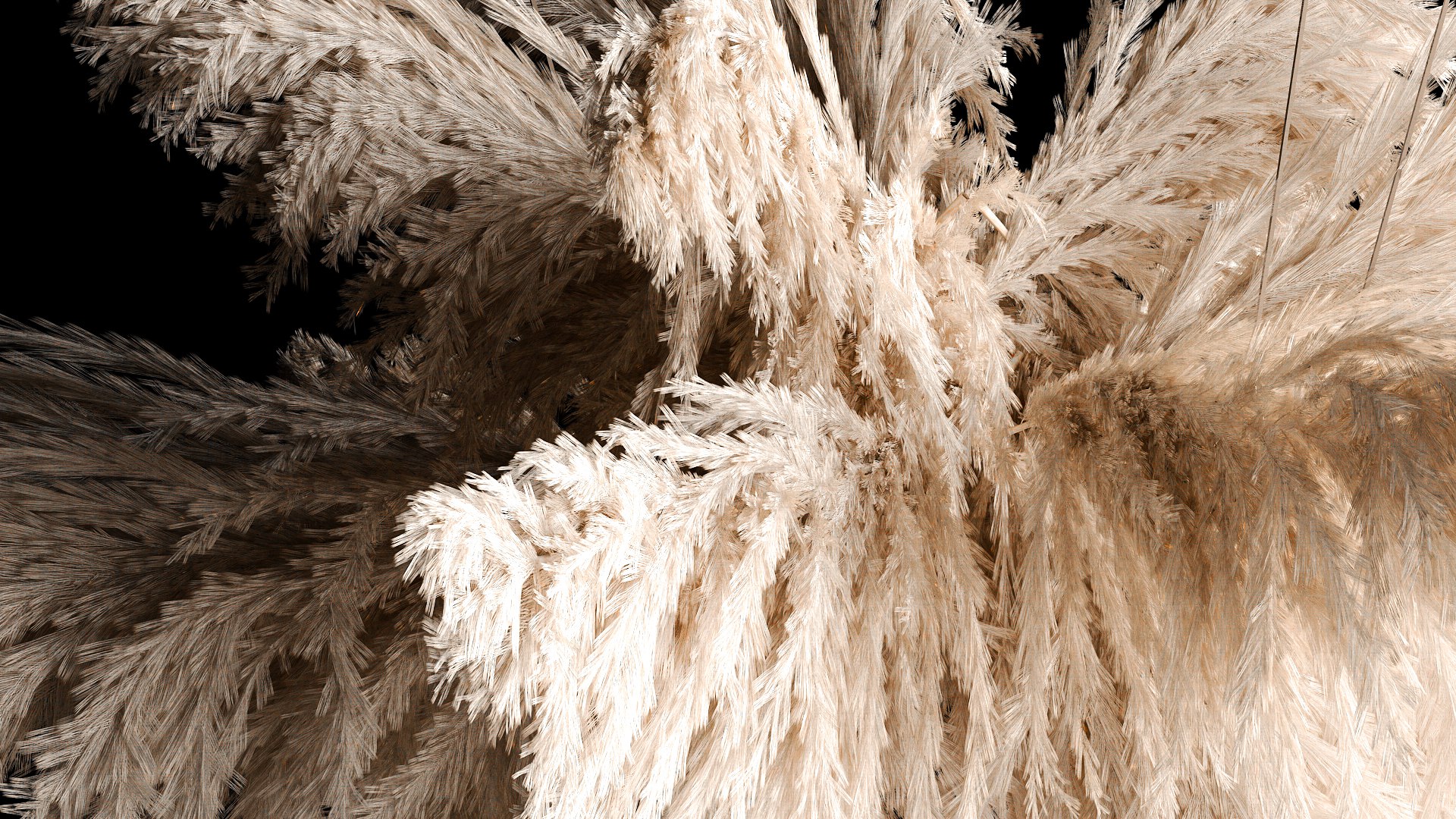 Hanging Bouquet Of Dry Reeds For Decoration 271 3D Model - TurboSquid ...